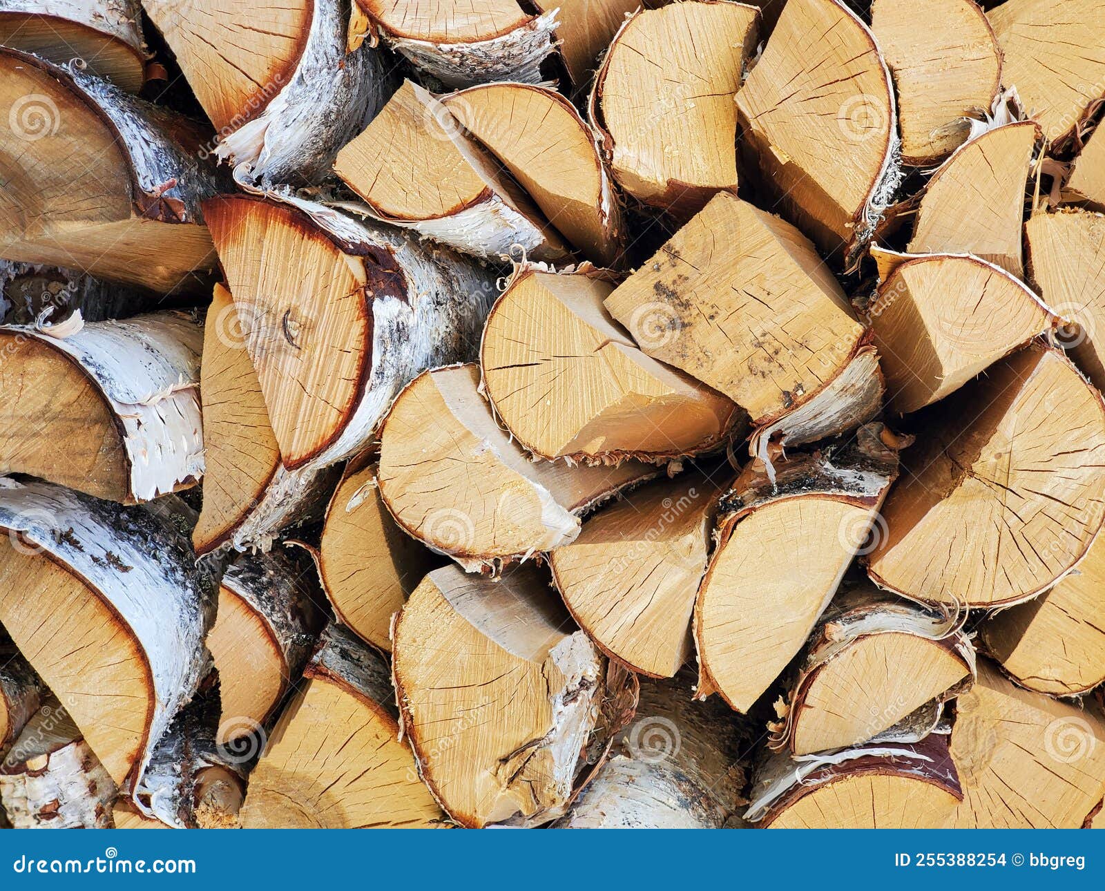 A Stack of Firewood, Log Ends, Chopped Birch and Pine Firewood. Texture ...