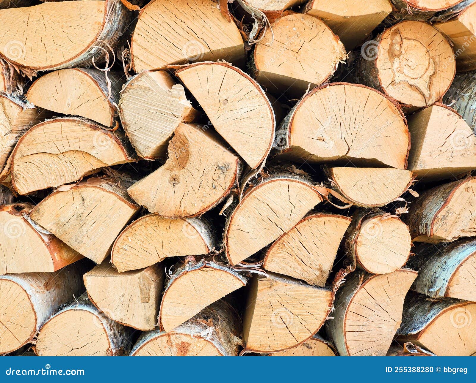 A Stack of Firewood, Log Ends, Chopped Birch and Pine Firewood. Texture ...