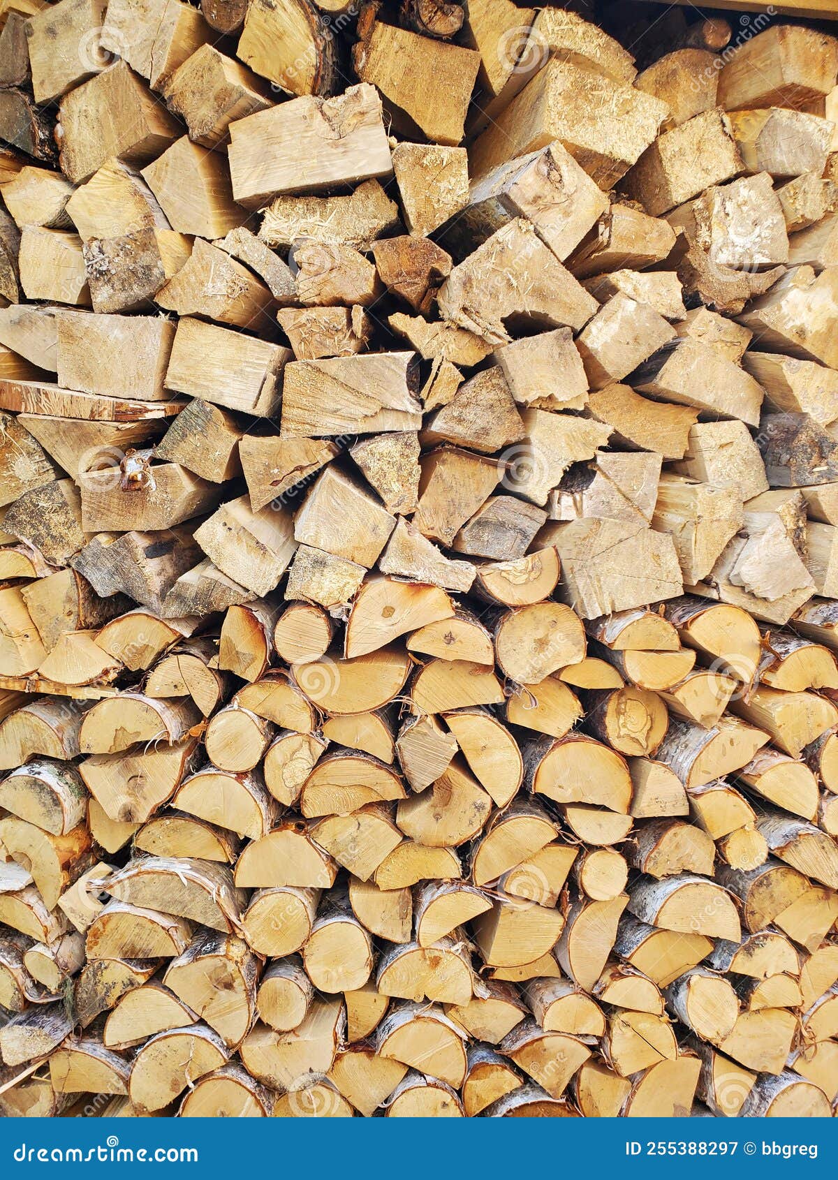 A Stack of Firewood, Log Ends, Chopped Birch and Pine Firewood ...