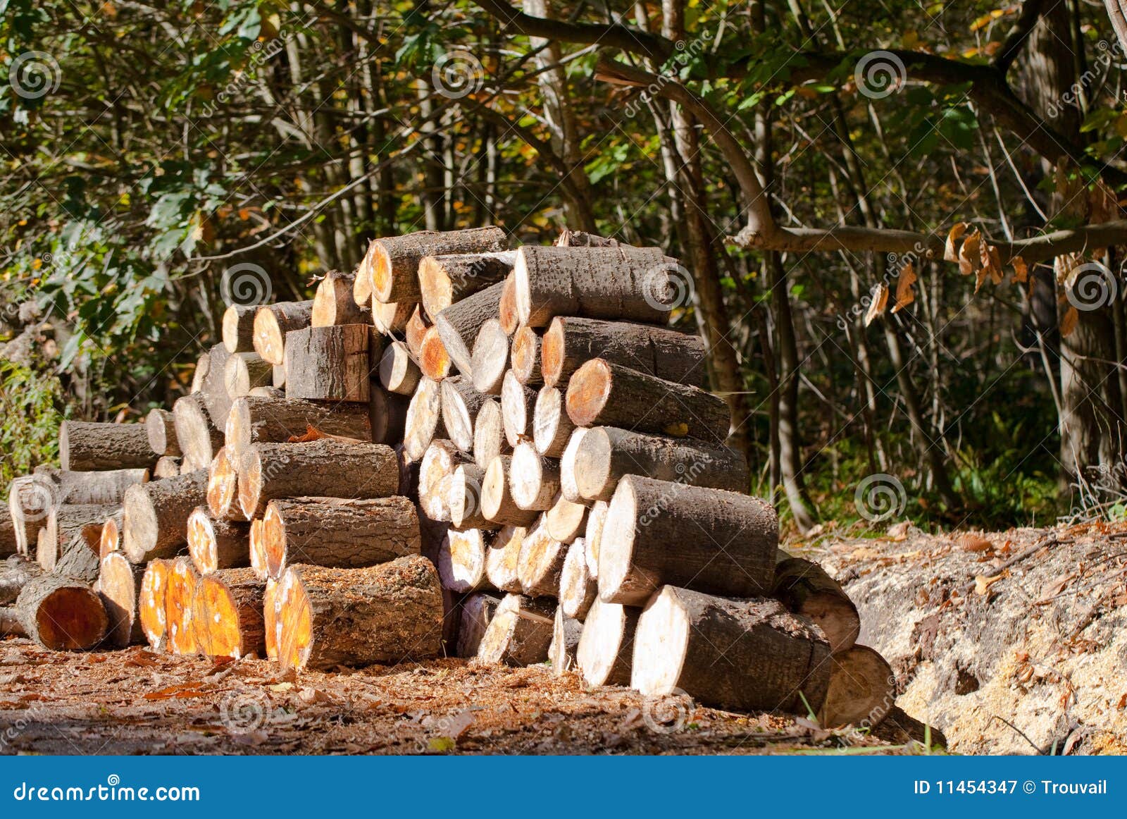 Stack of firewood logs stock image. Image of forestry - 11454347
