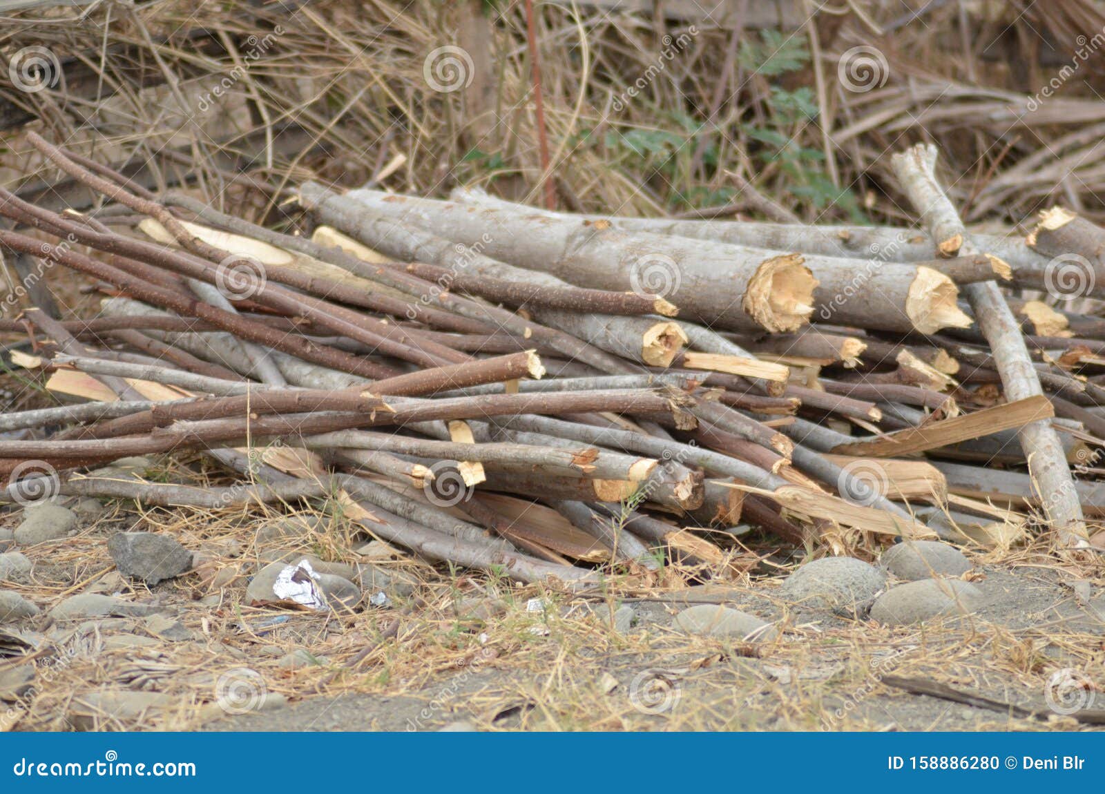 Stack of Firewood Prepared for Burning in Winter. Stock Photo - Image ...