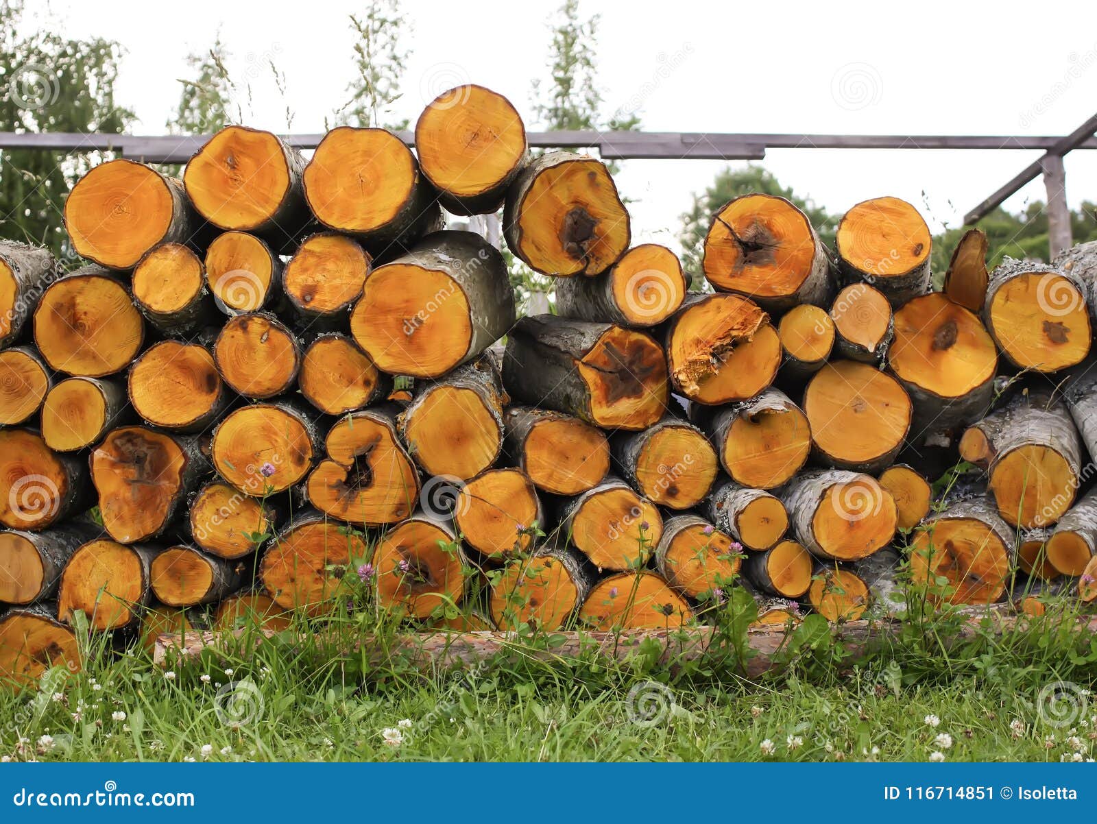 Stack of Firewood Prepared for Winter. Stock Image - Image of ...