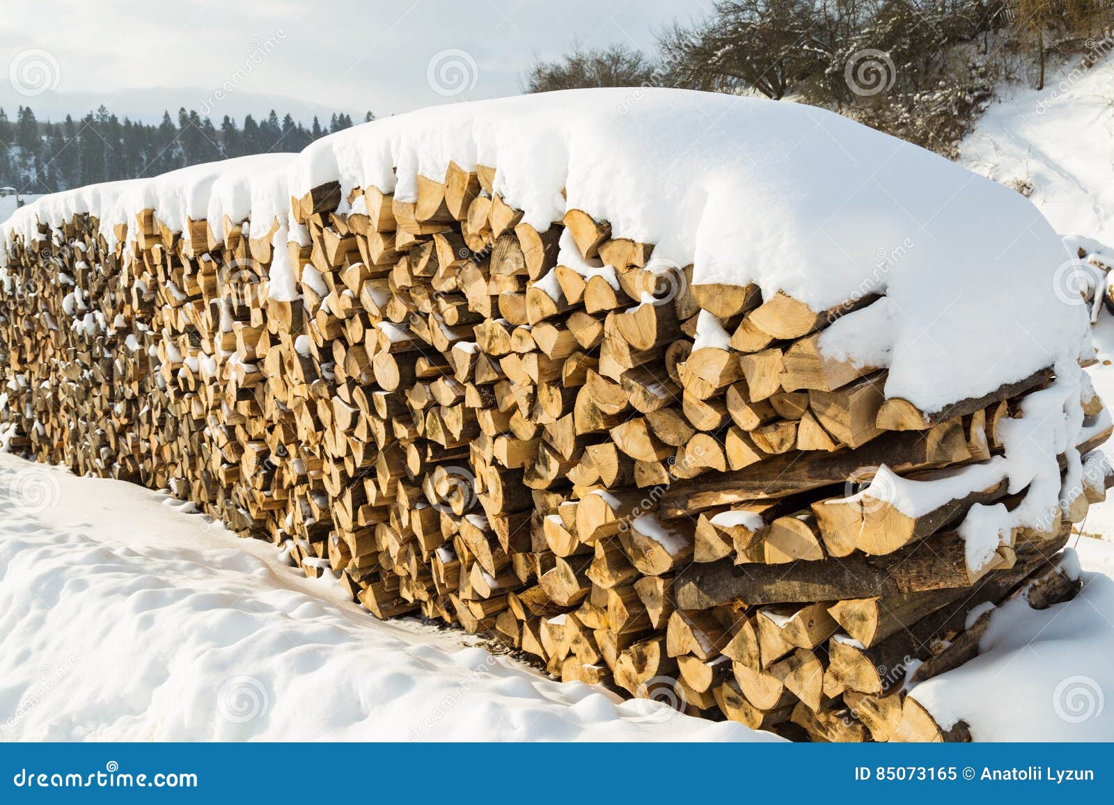 Stack of firewood in snow stock image. Image of pile - 85073165