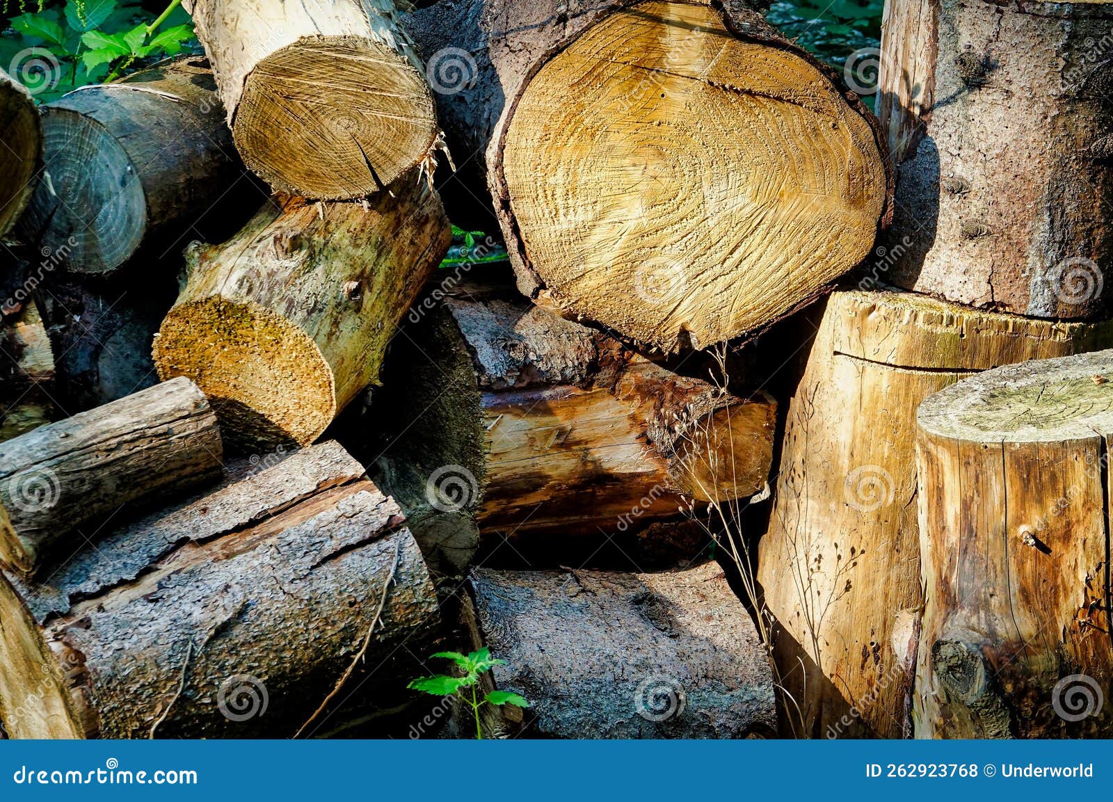 Stack of Firewood Taken in Cologne Germany, North Europe Stock Photo ...