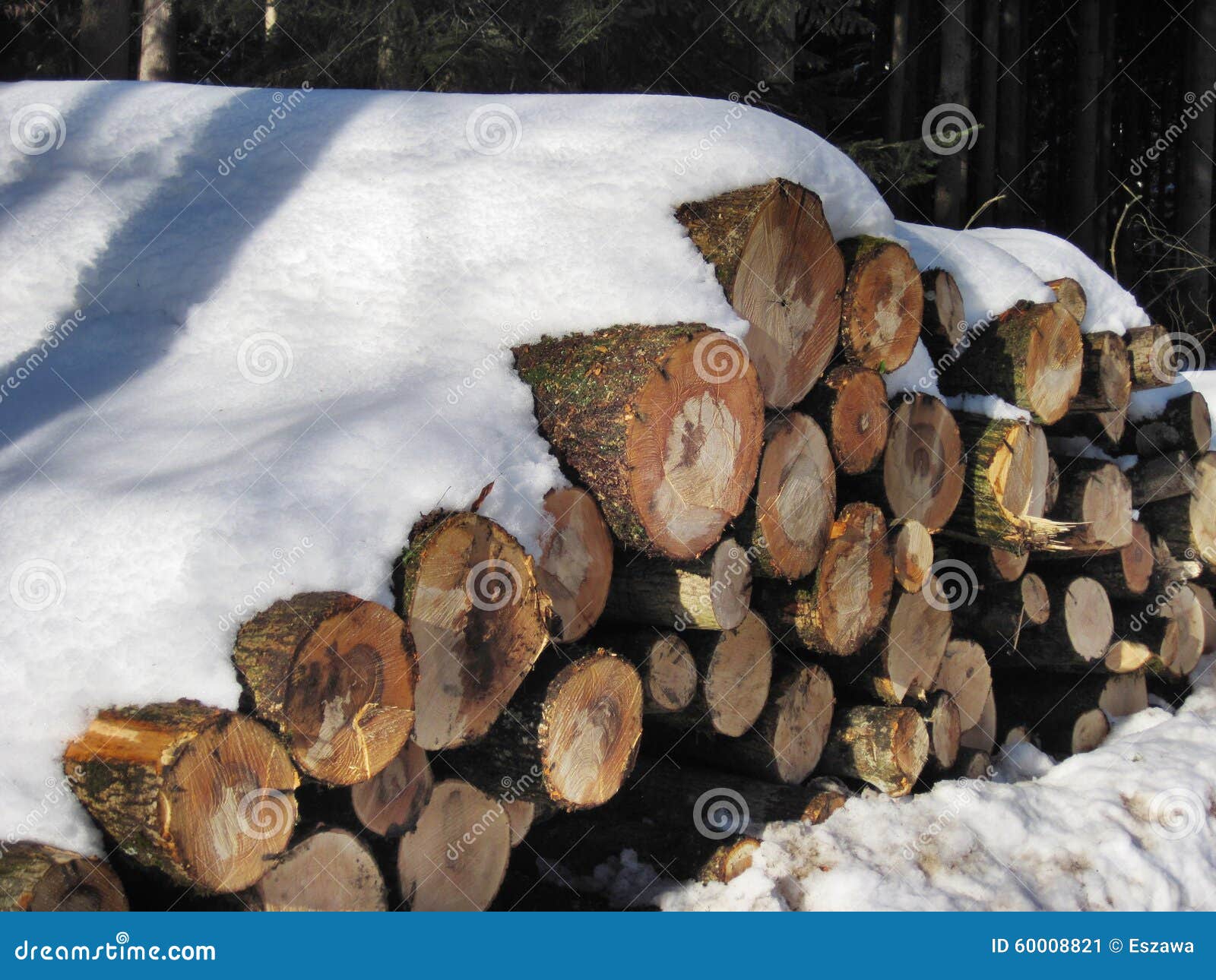 Stack of Firewood Under the Snow Stock Image - Image of forestry ...
