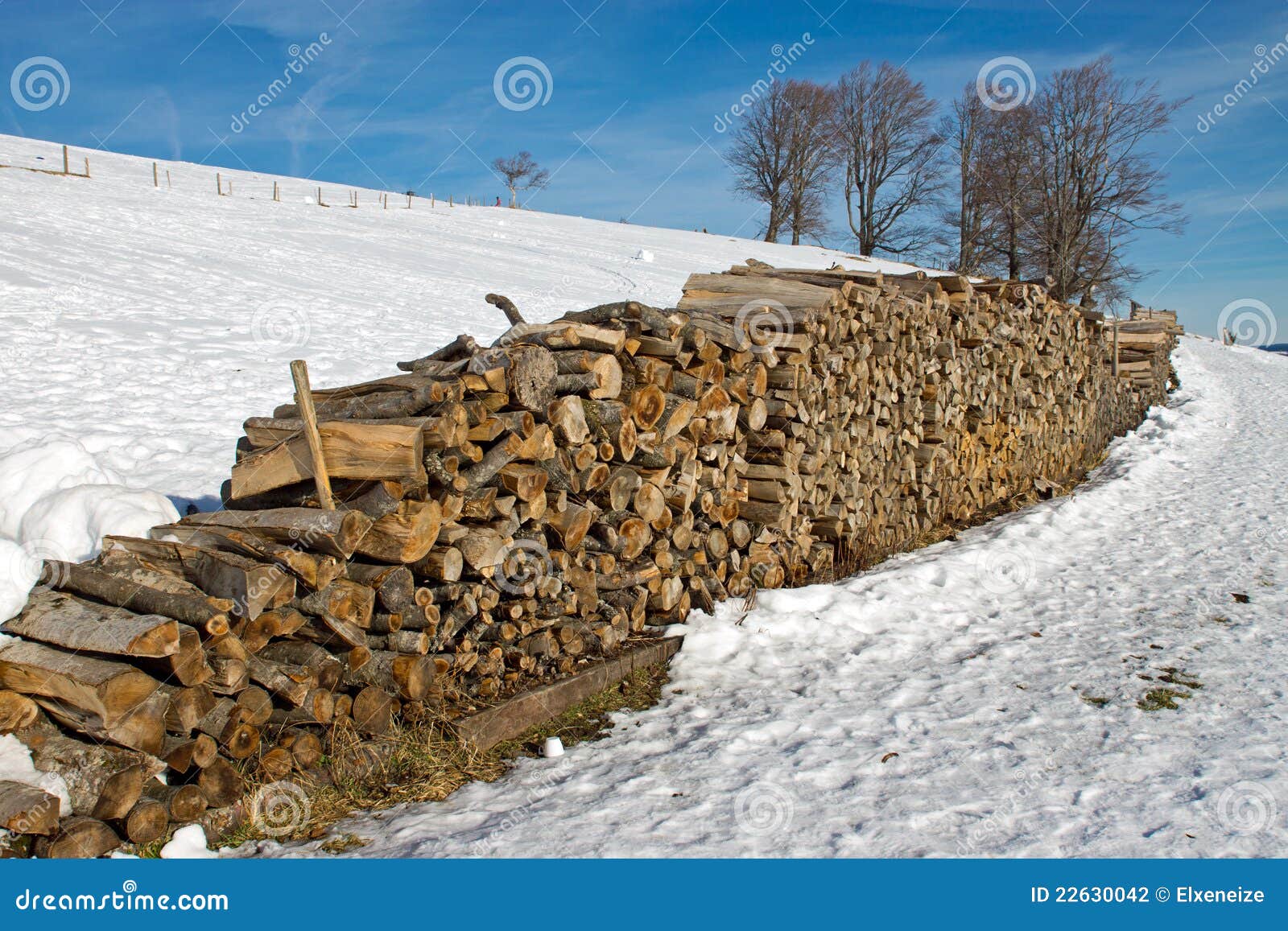 Stack of Firewood in Winter Stock Photo - Image of forestry, rural ...