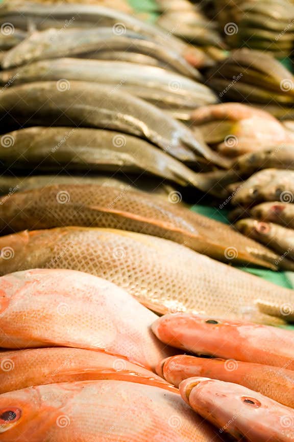 Stack of fish meat stock image. Image of sell, market - 8776383