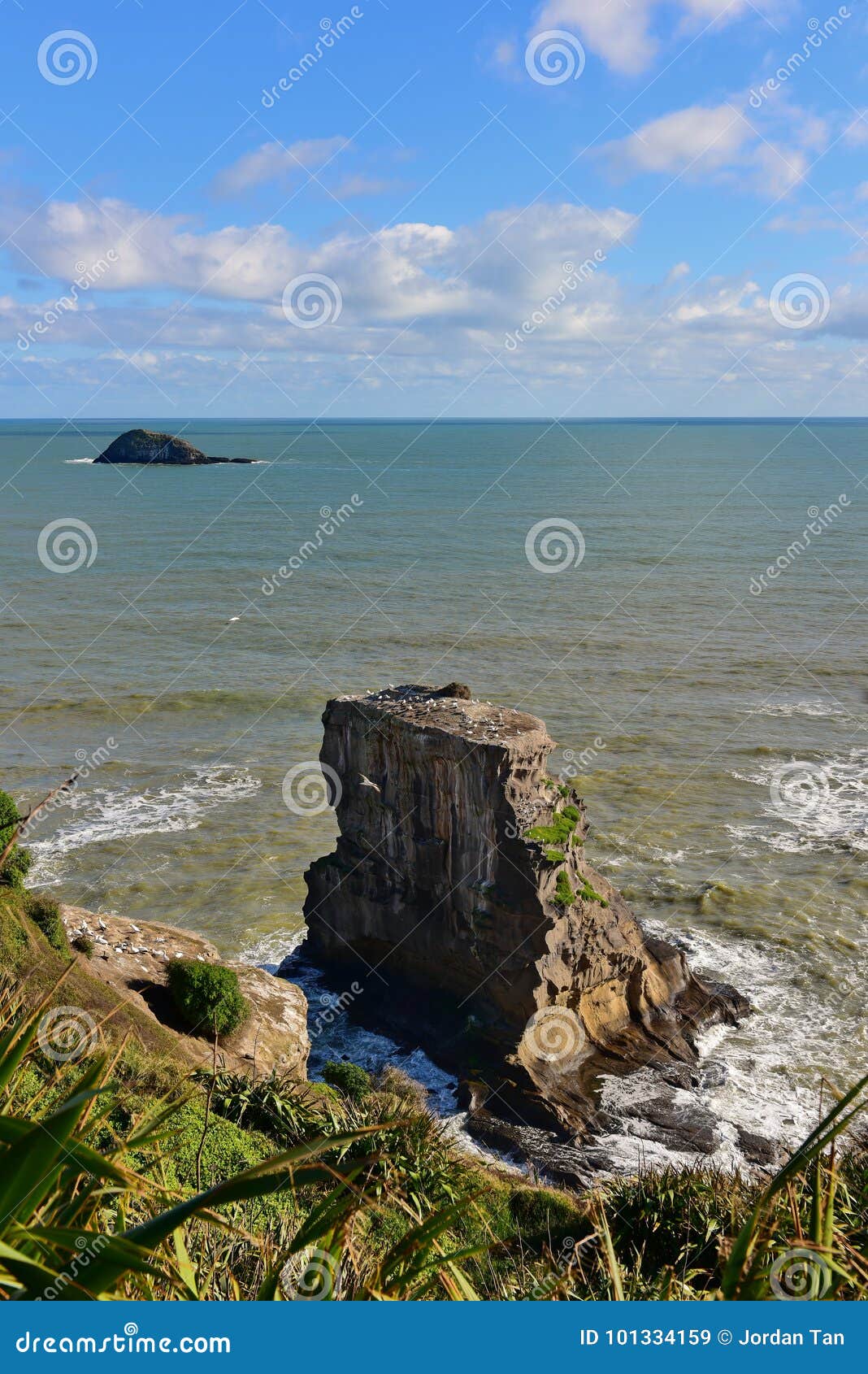 A Stack Formation at Muriwai Beach Stock Image - Image of zealand ...