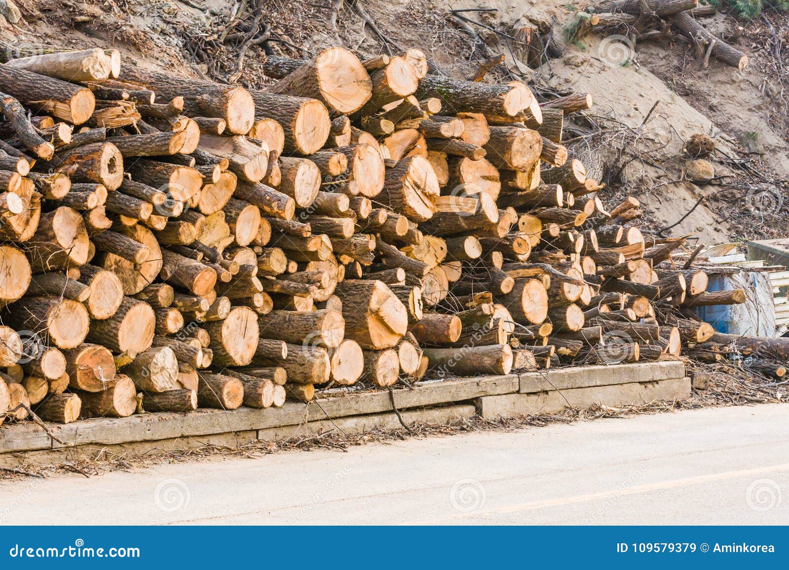 Stack of fresh cut logs stock image. Image of stack - 109579379
