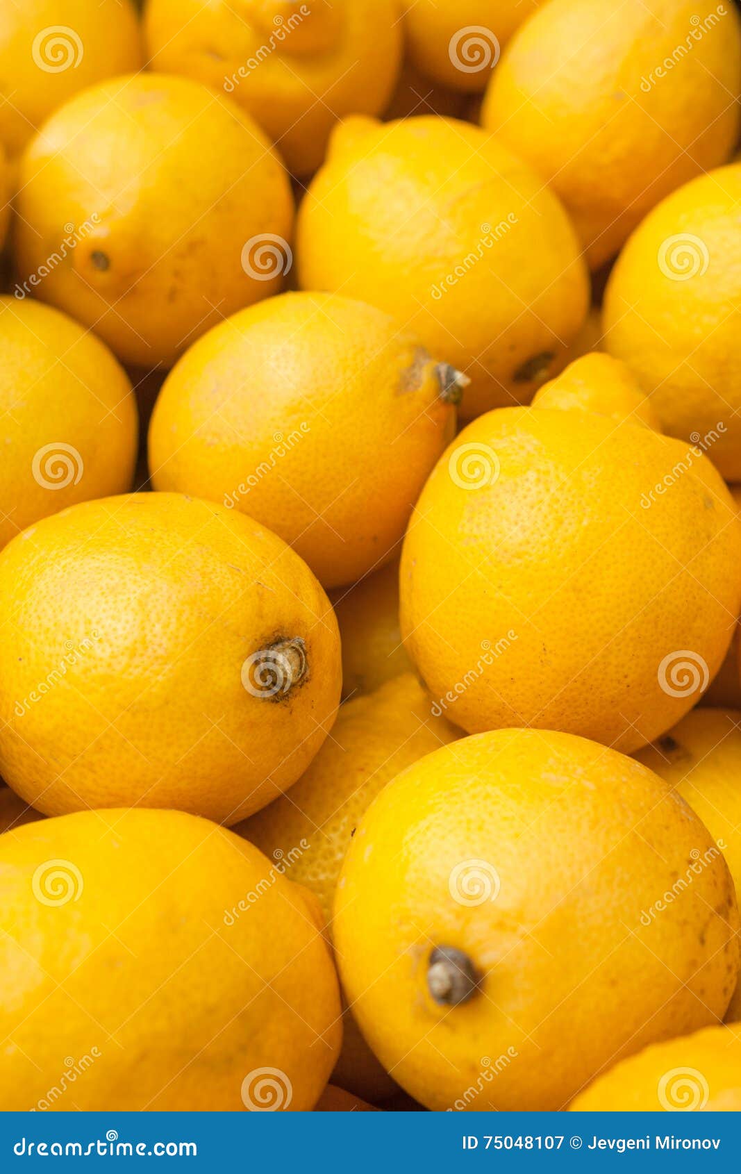 Stack of fresh lemons stock image. Image of stacked, food - 75048107