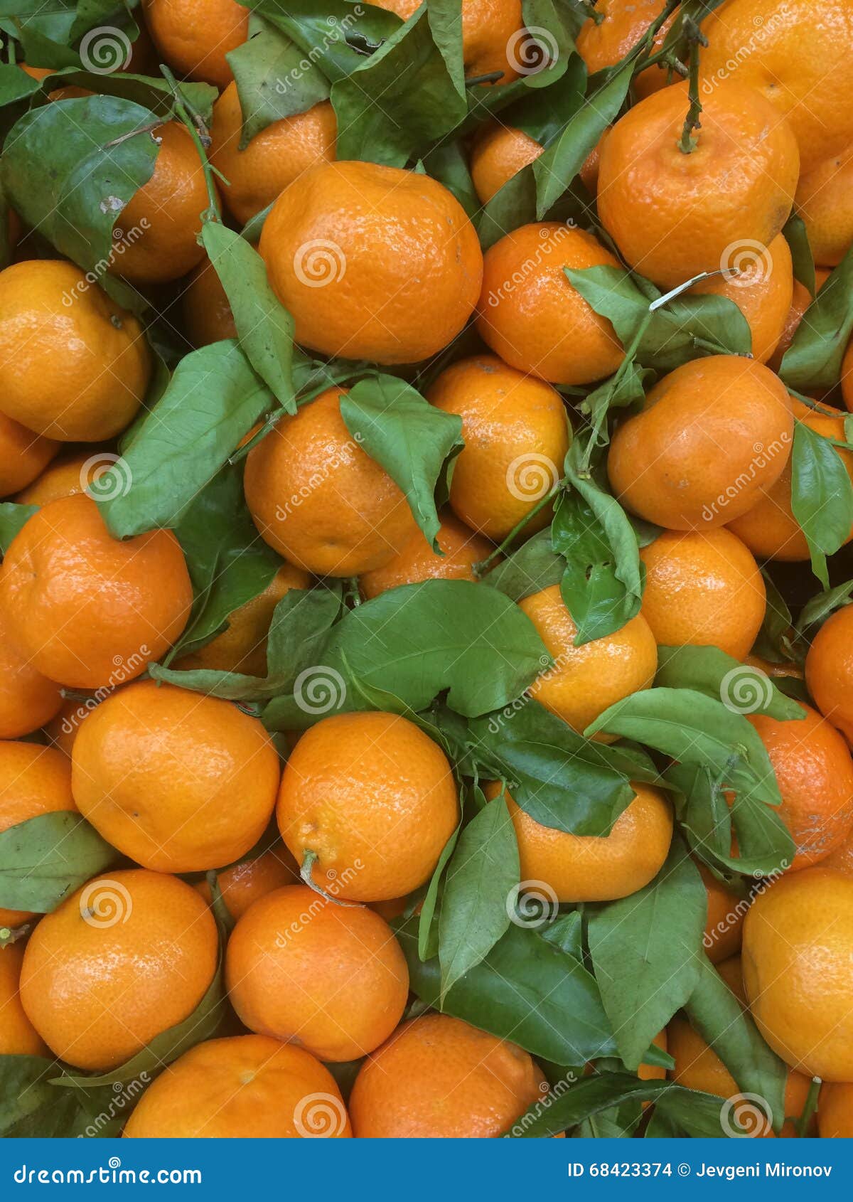 Stack of fresh mandarines stock photo. Image of glamour - 68423374