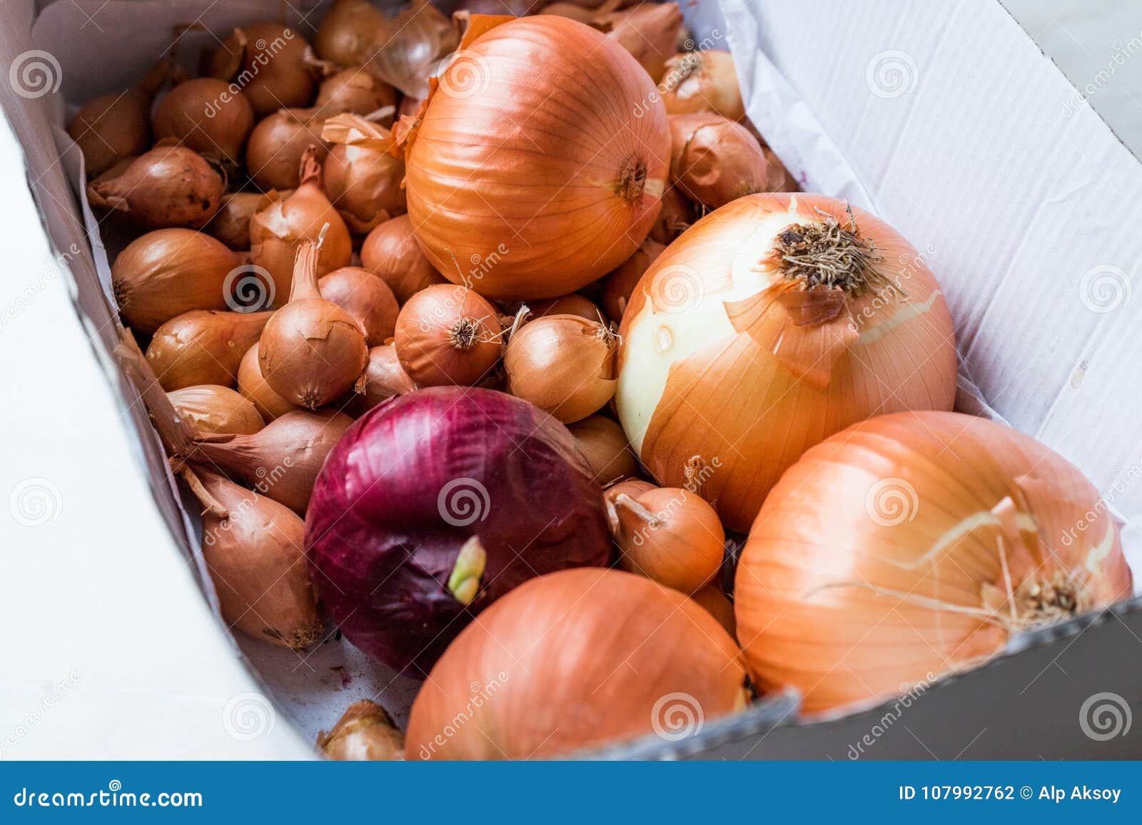 Stack of Fresh Organic Onions in Carton Box with Bulbs. Stock Photo ...