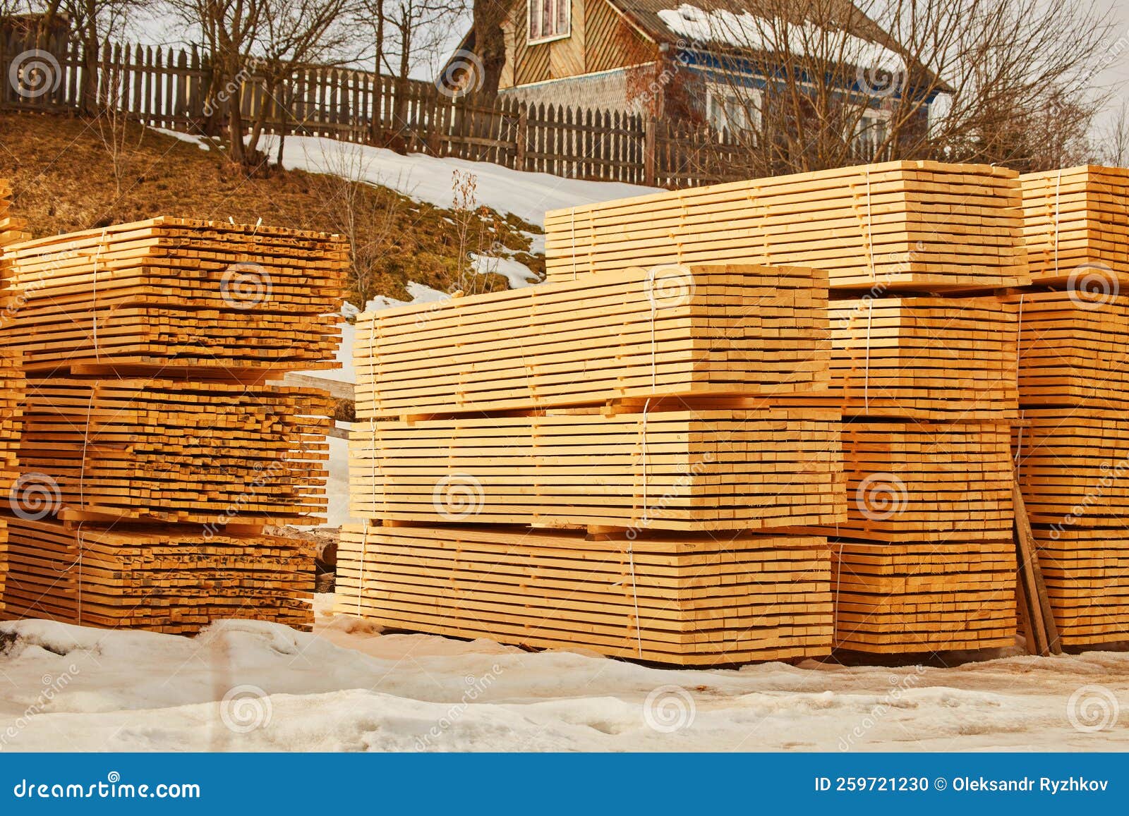 Stack of Fresh Pine Boards in a Sawmill Warehouse Stock Photo - Image ...