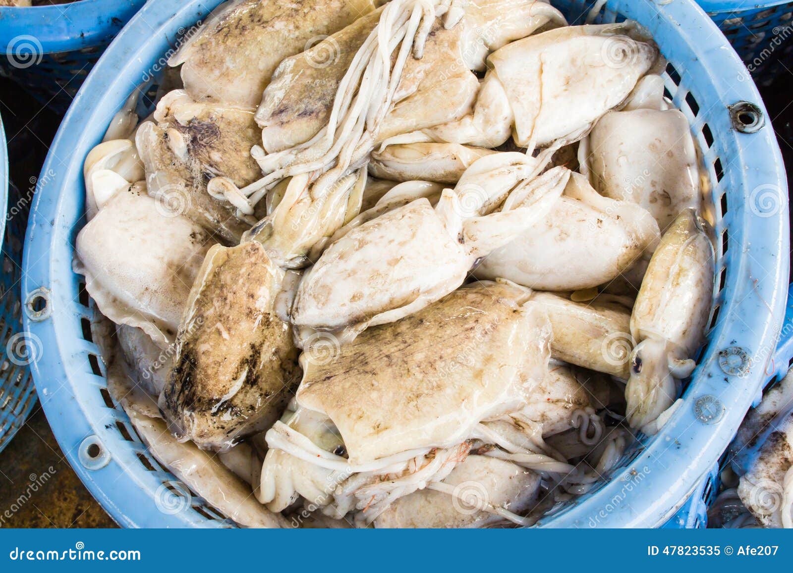 Stack of Fresh Squid in Basket Sold in Fish Dock Market Stock Image ...