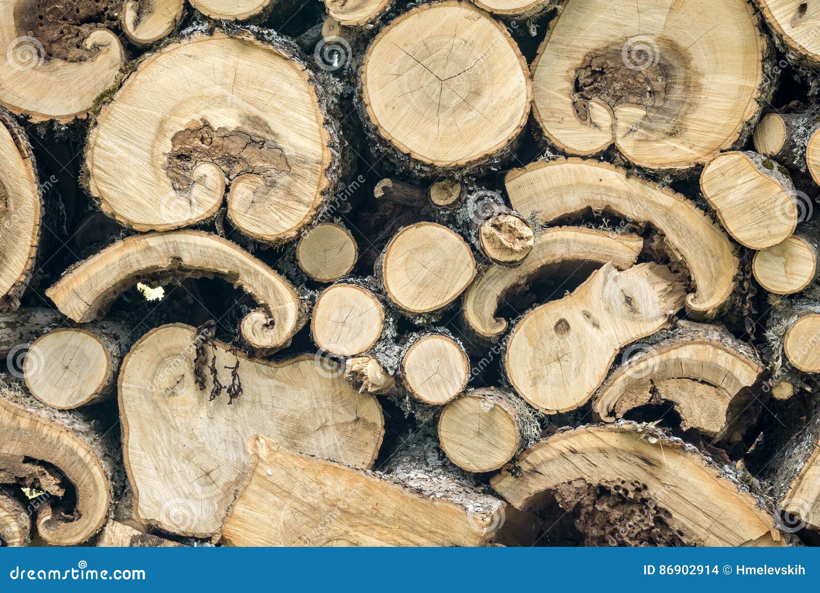 Stack of Fresh Unique Curved Wood Stock Photo - Image of horizontal ...