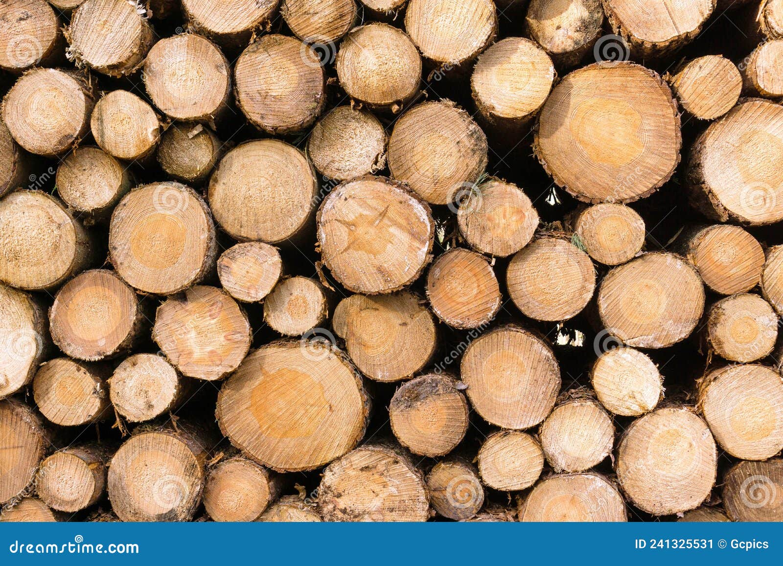 Wooden Timber Texture Royalty-Free Stock Photography | CartoonDealer ...