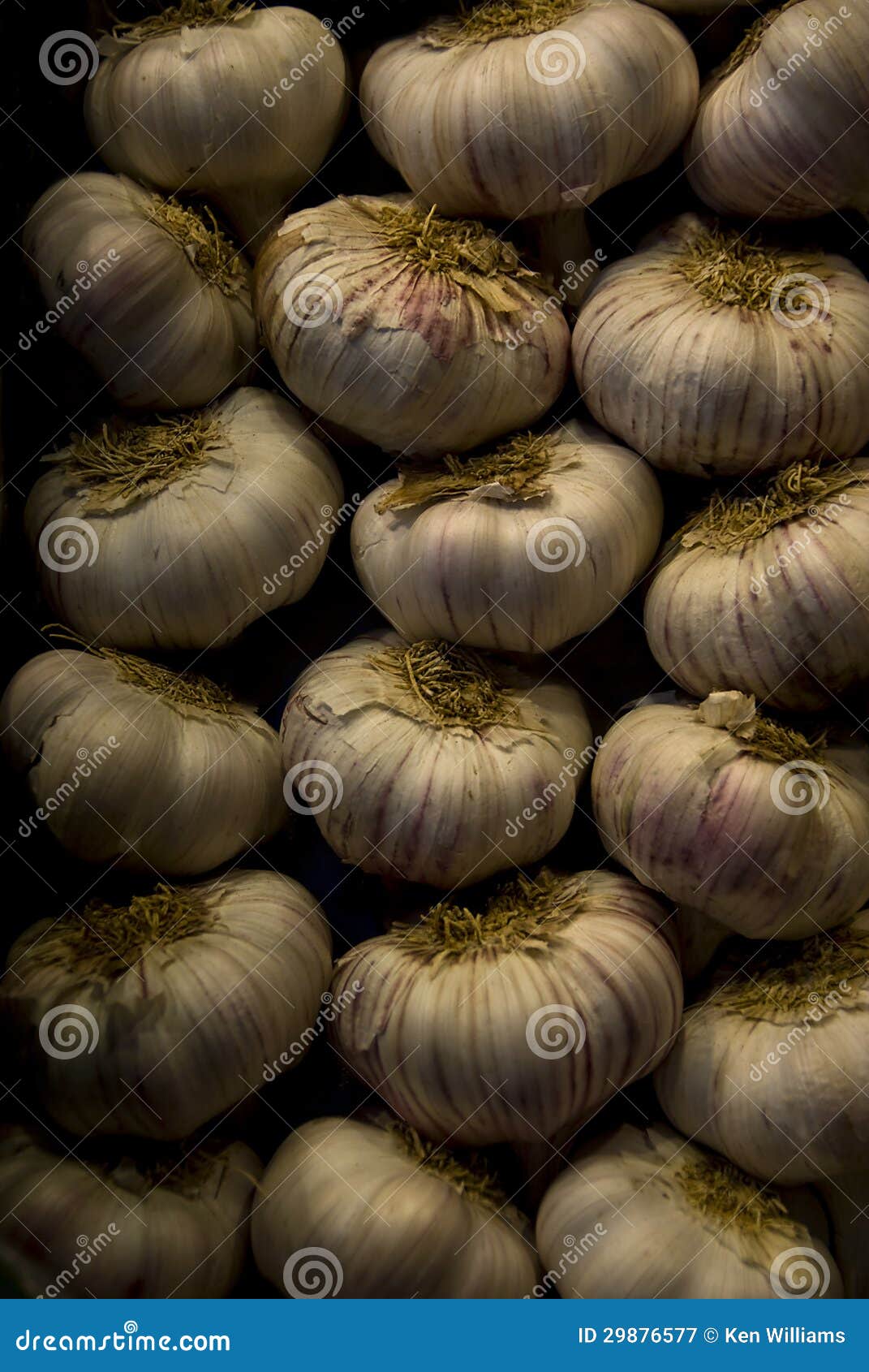 Garlic stock image. Image of skin, cooking, stack, nutrition - 29876577