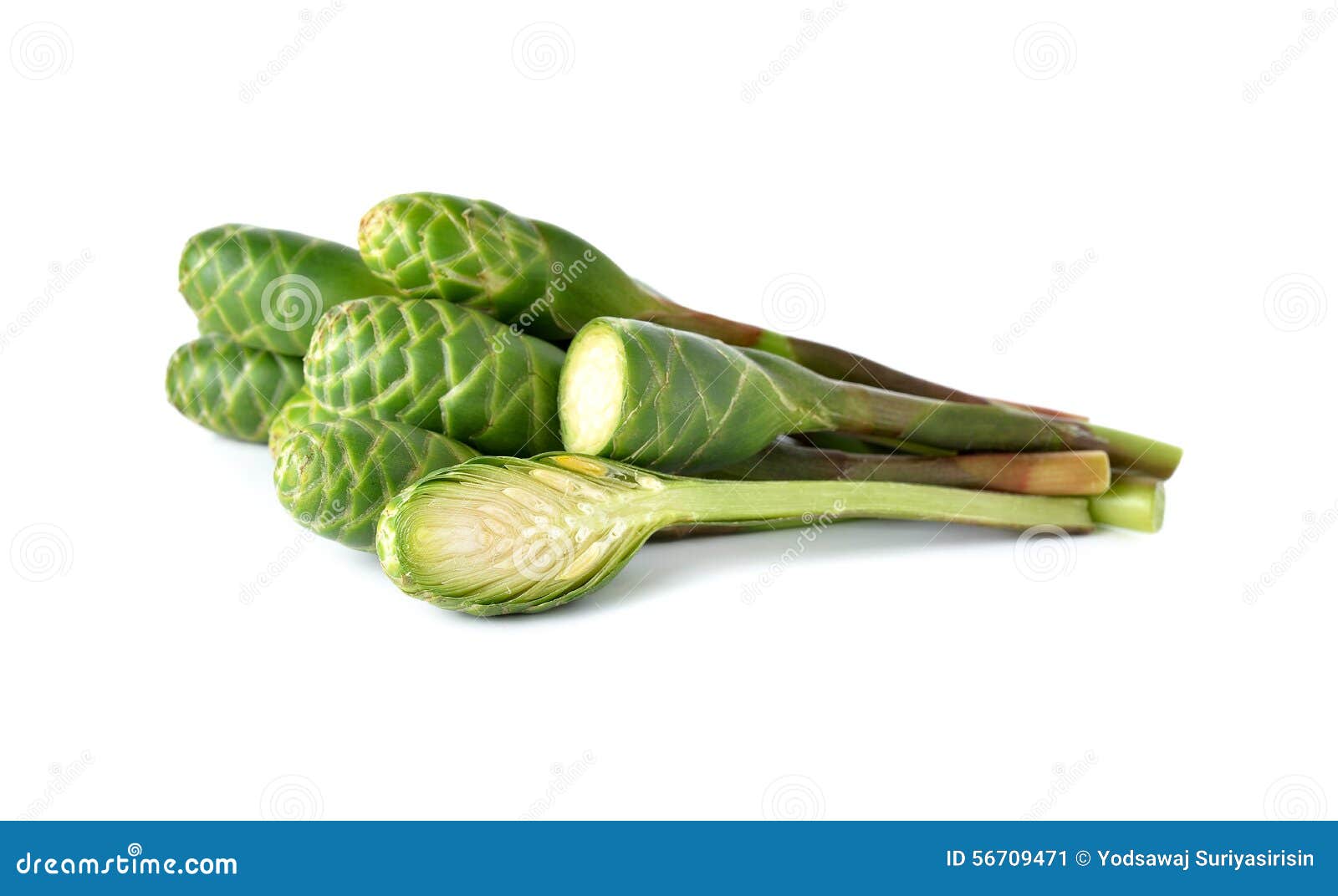 Stack of Ginger Blossom on White Stock Image - Image of flower, layer ...