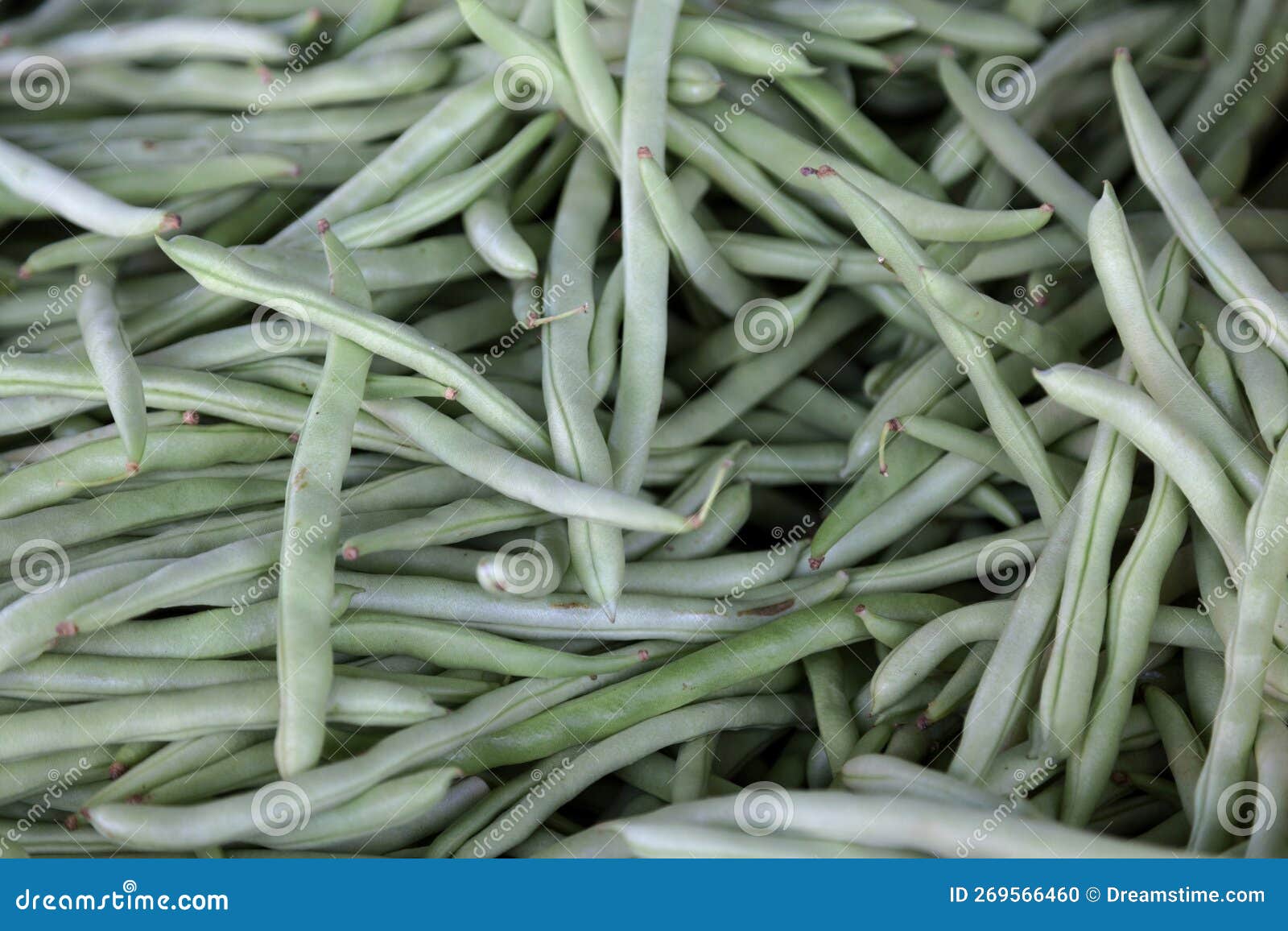 Stack of Green Beans on a Market Stall Stock Photo - Image of runner ...