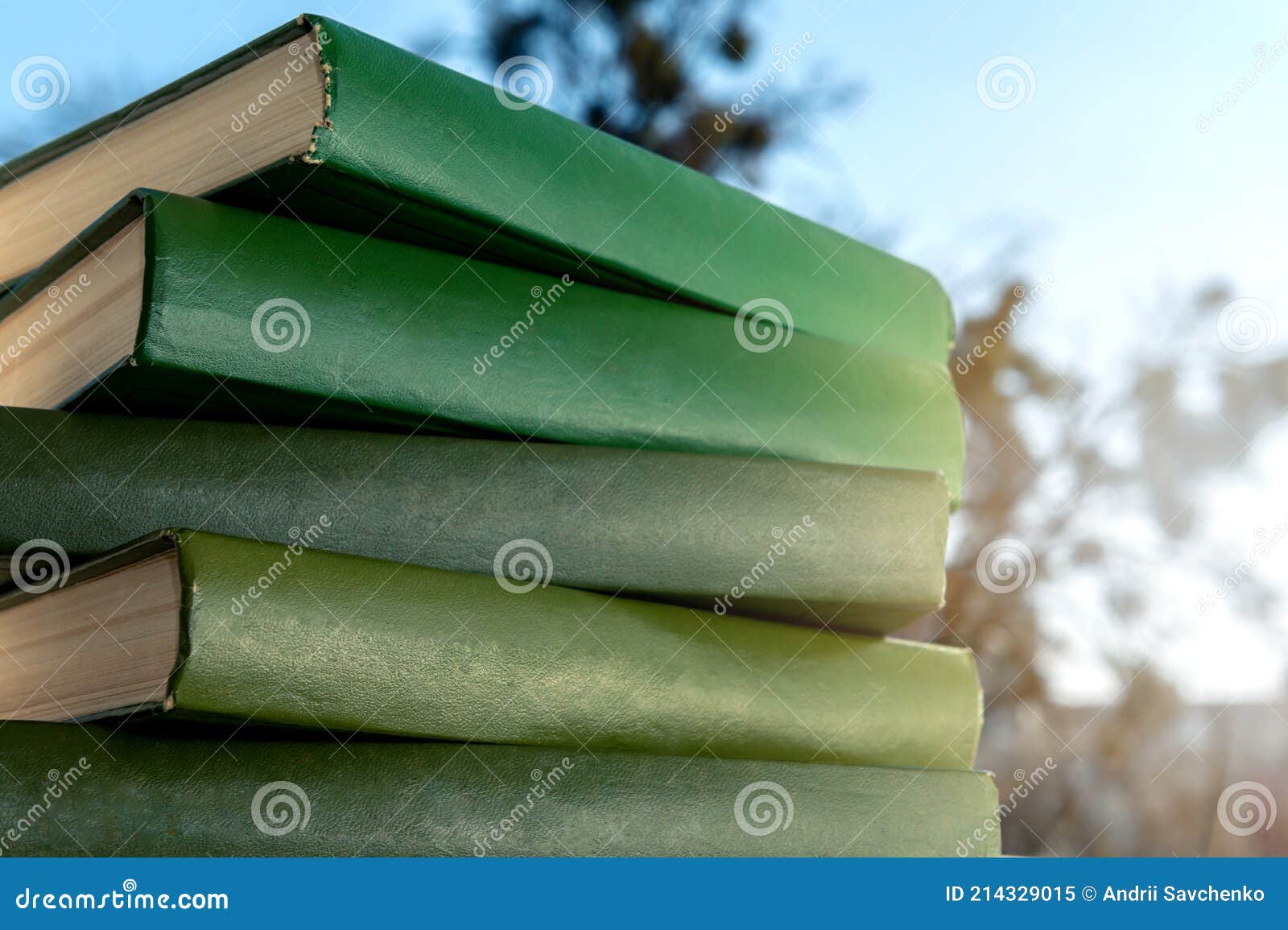 Stack of Green Books. Books Silhouetted Against Bright Spring Sky Stock ...