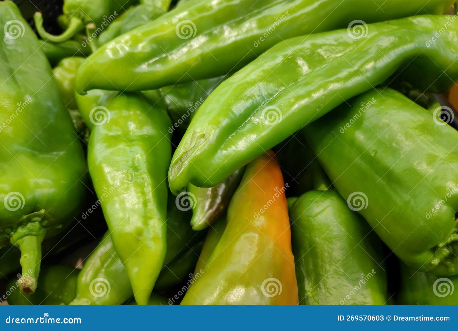 Stack of Green Ox Horn Peppers on a Market Stall Stock Image - Image of ...