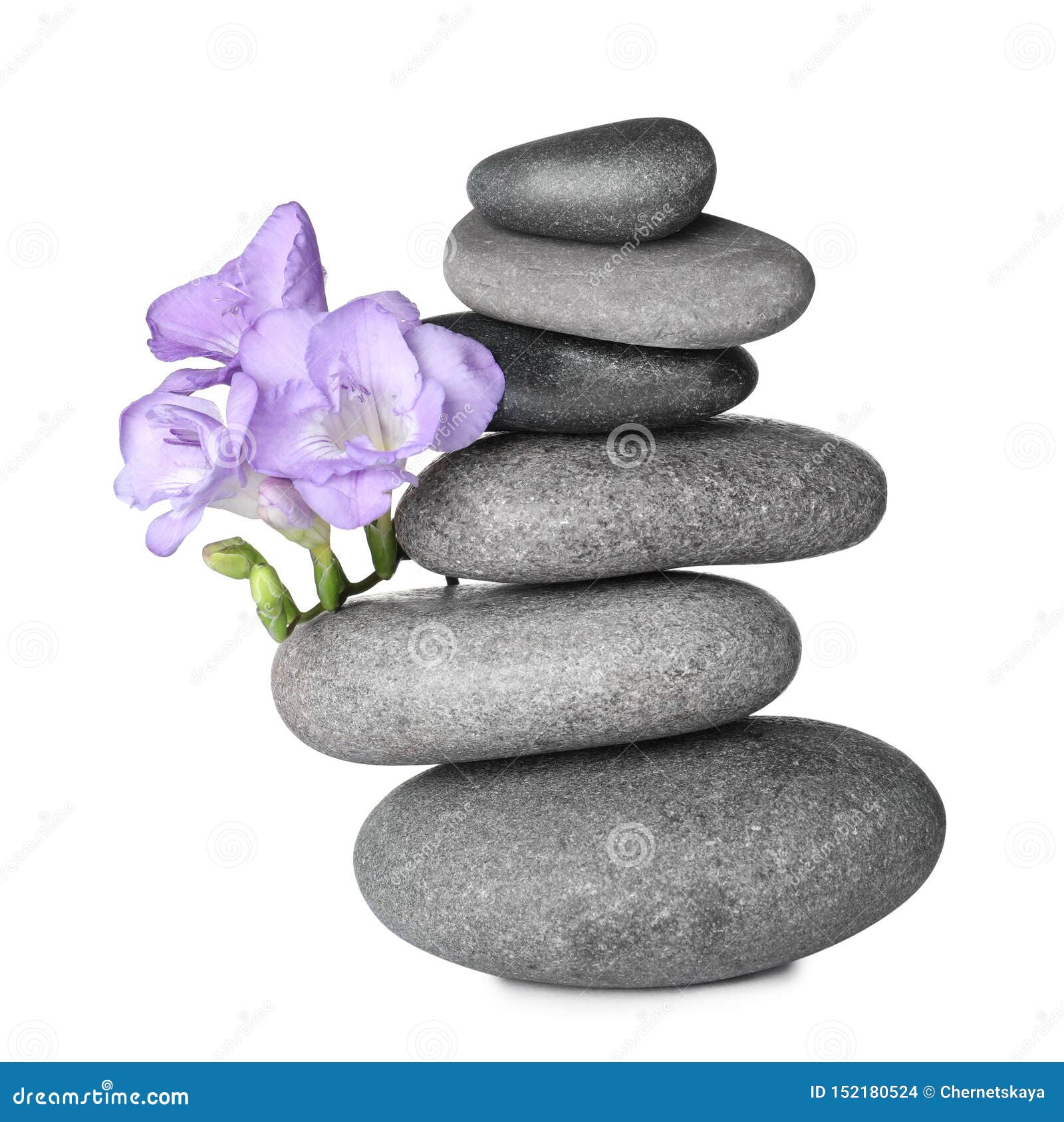 Stack of Grey Spa Stones and Fresh Flowers Isolated Stock Photo - Image ...