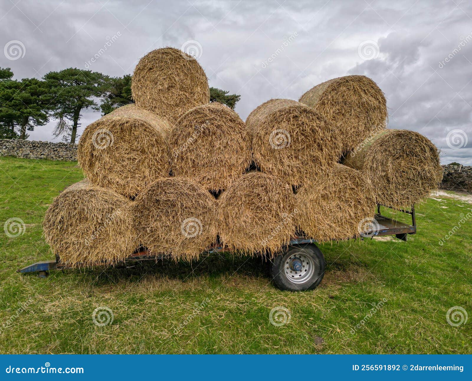 A Stack of Hail Bails on a Metal Blue Trailer on the Farm in England ... A Stack of Hail Bails on a Metal Blue Trailer on the Farm in England ...