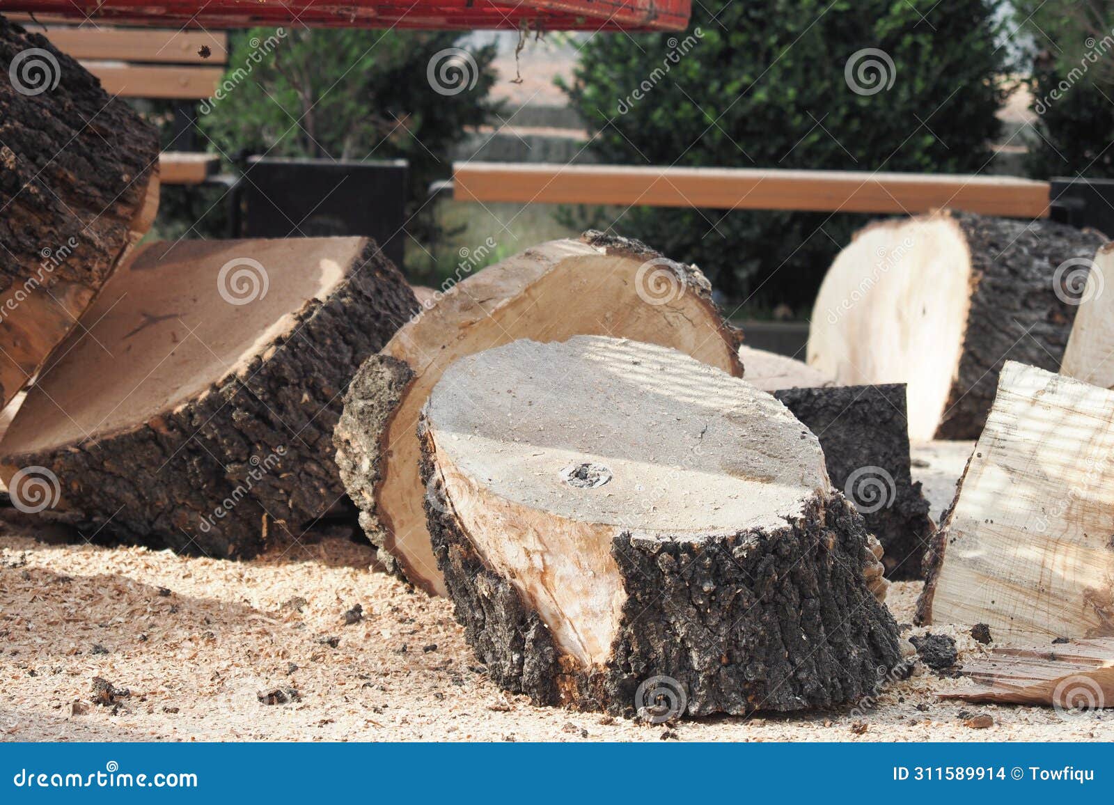 Stack of Hardwood Logs Create a Rustic Landscape in Front of the House ...