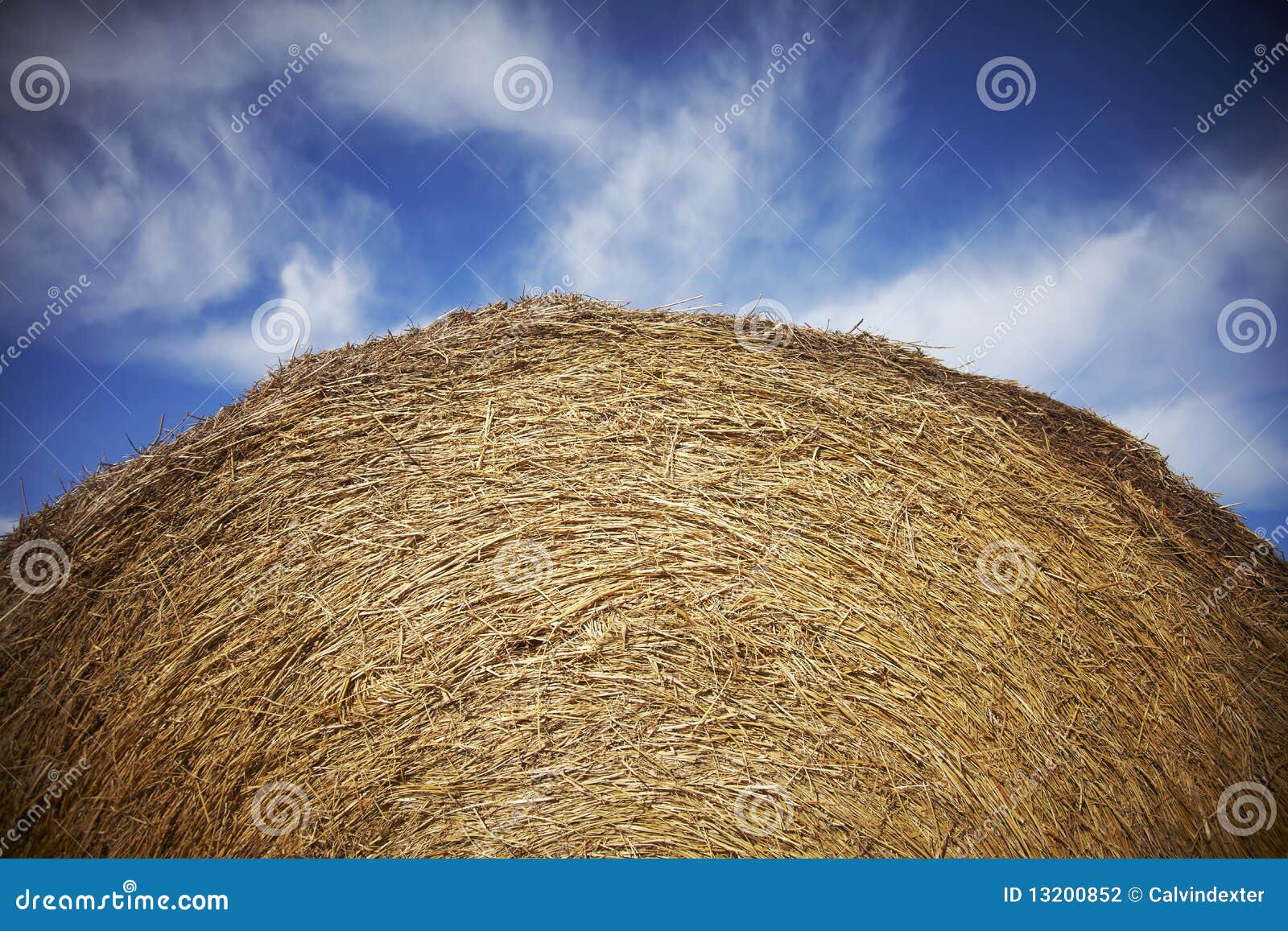 Stack of hay stock photo. Image of idea, focus, concept - 13200852
