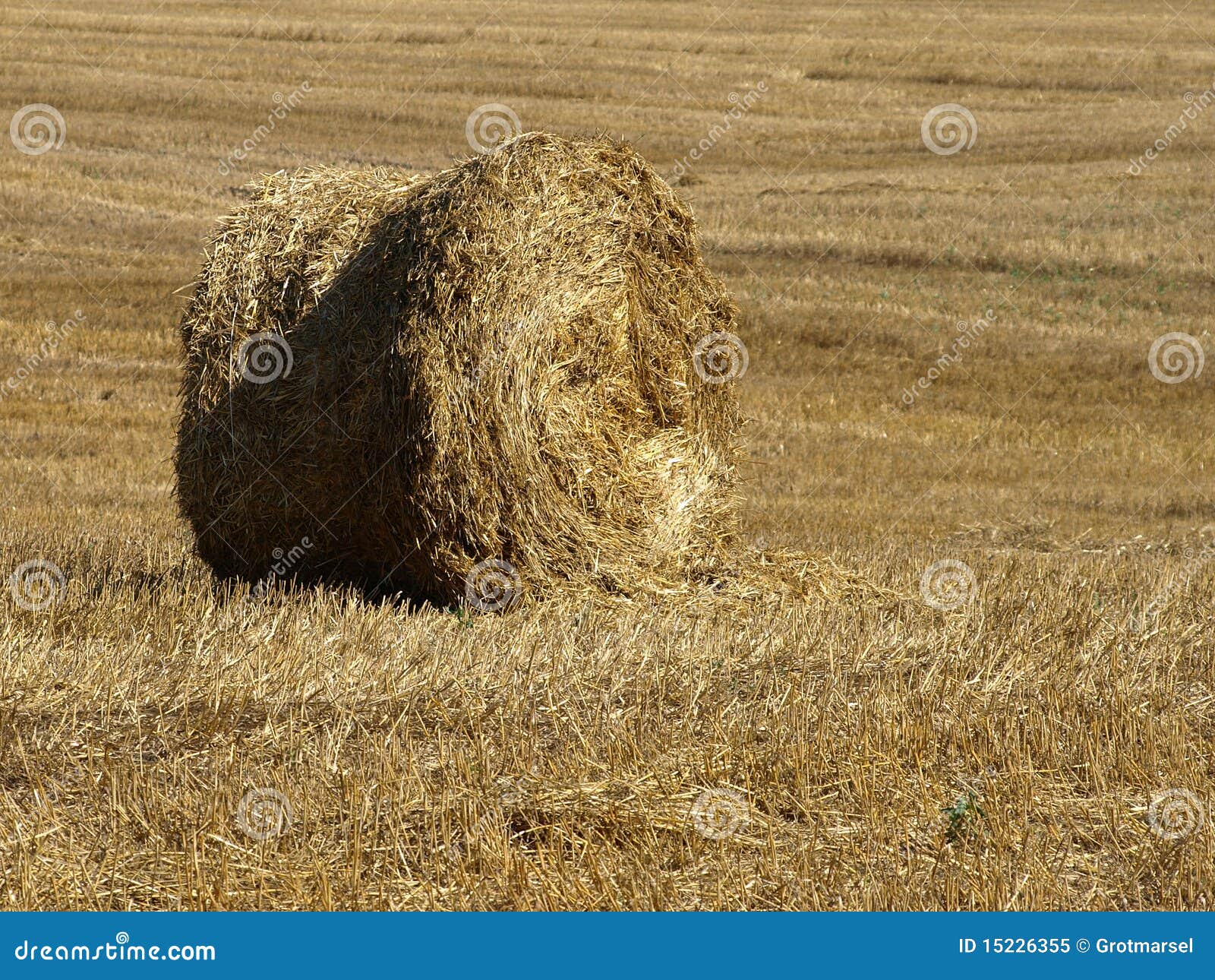 Stack of hay. stock image. Image of plowing, rural, colorful - 15226355