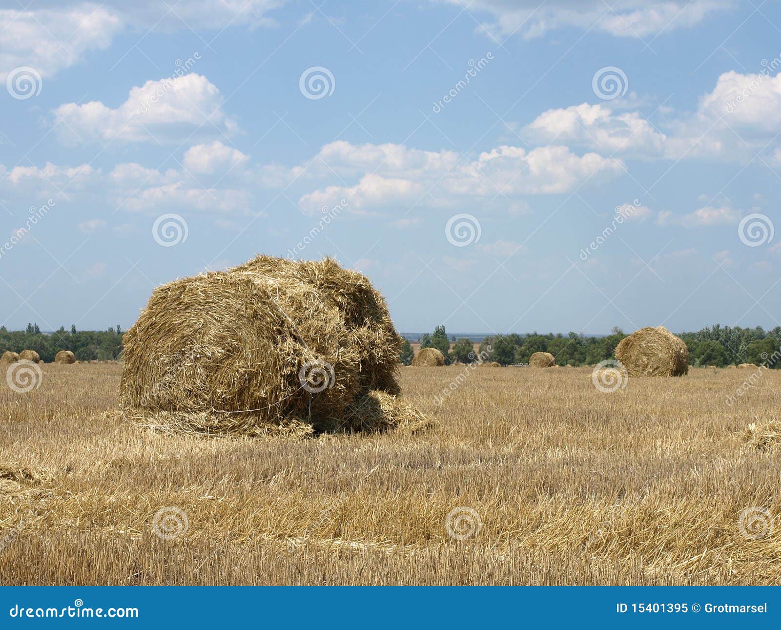Stack of hay. stock image. Image of plowing, environmental - 15401395