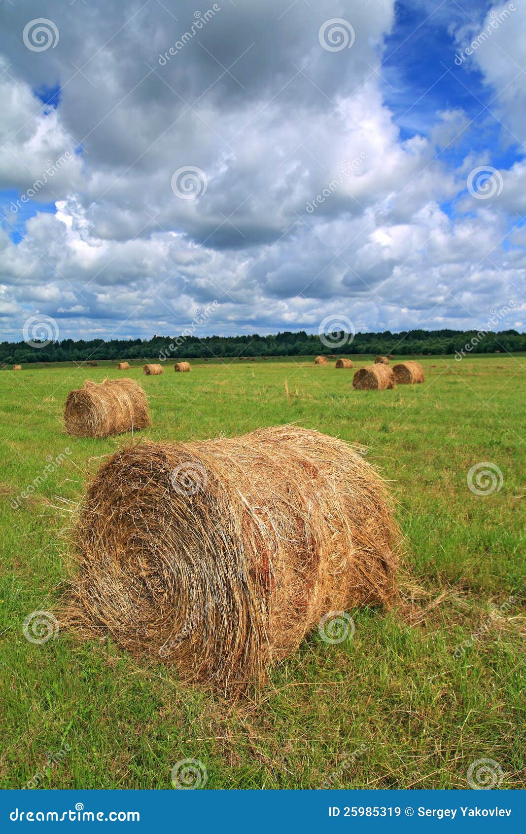 Stack hay stock image. Image of golden, large, farming - 25985319