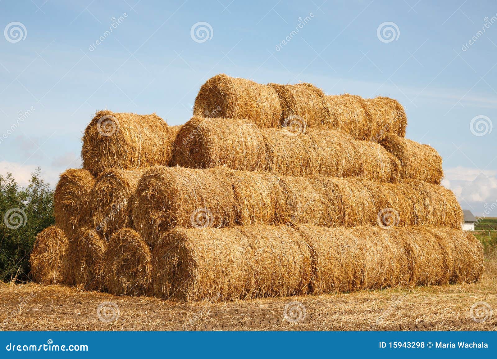 Stack of hay bales stock photo. Image of candid, color - 15943298
