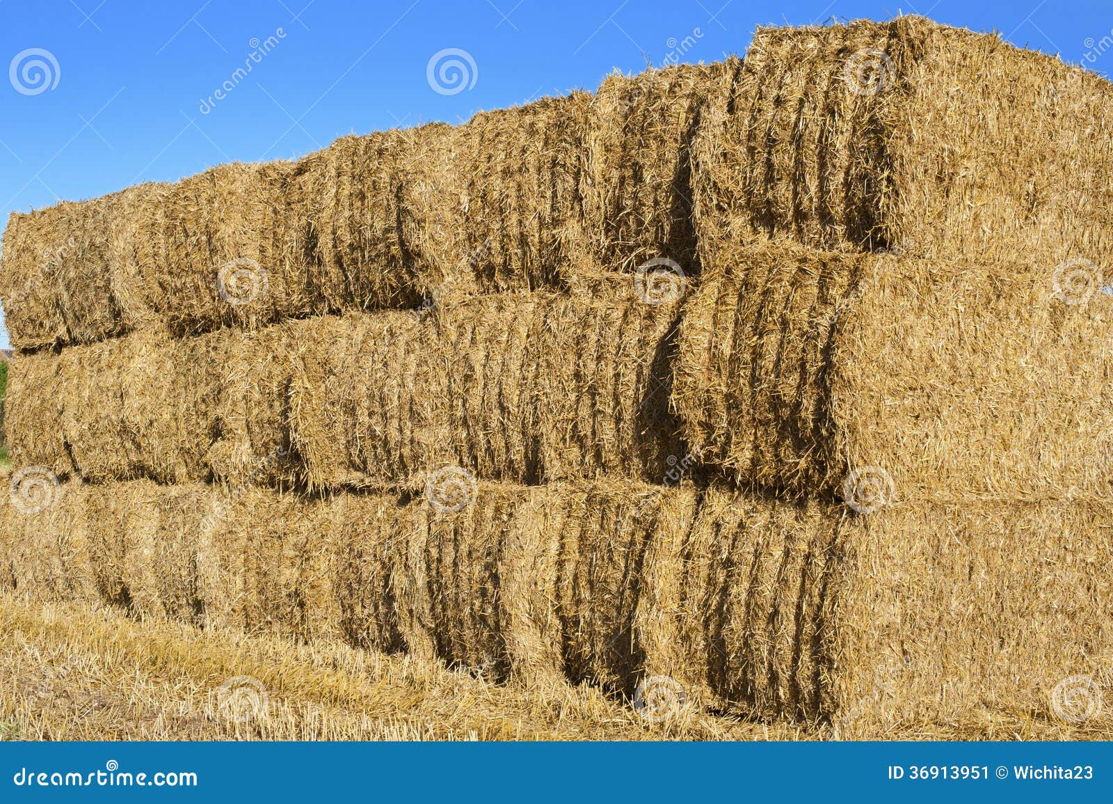 Stack of Hay Bales in a Field, England. Stock Image - Image of straw ...