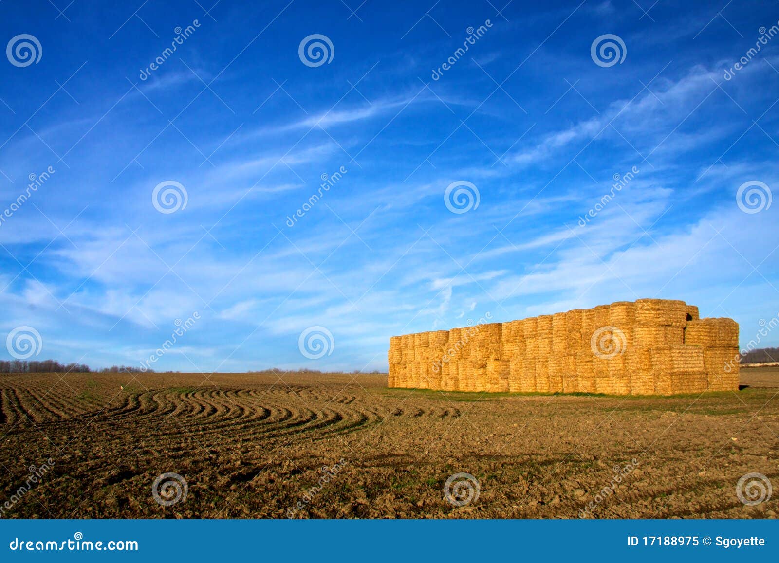 Stack of Hay Bales in Plowed Field Stock Image - Image of field ...