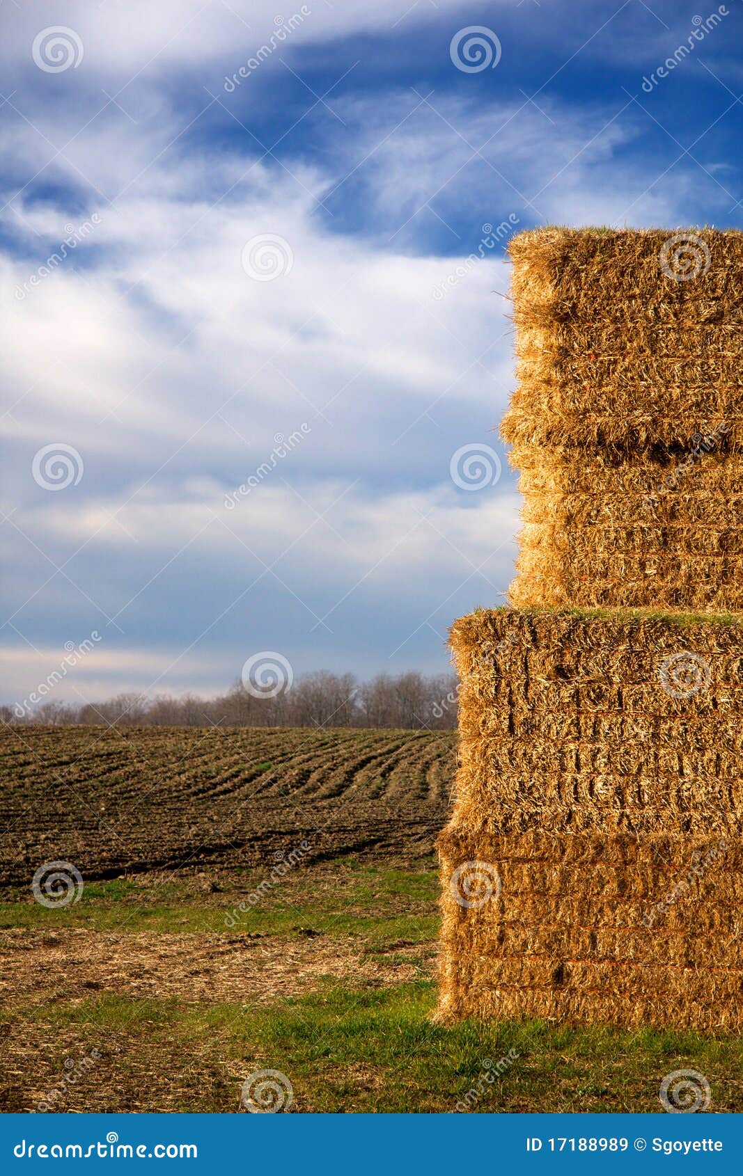 Stack of Hay Bales in Plowed Field 2 Stock Image - Image of harvest ...