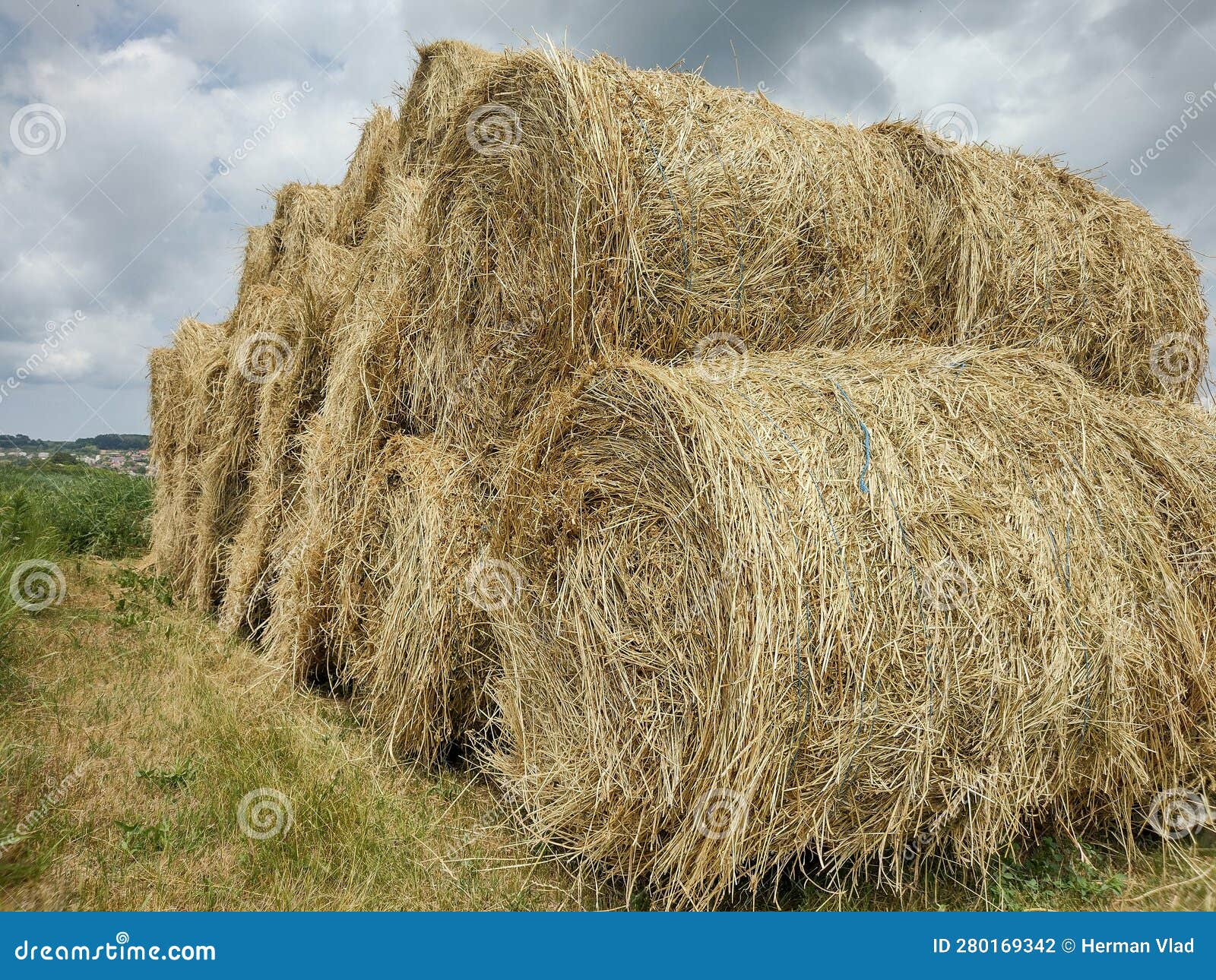 Stack of Hay Bales in Romania Stock Photo - Image of group, concept ...