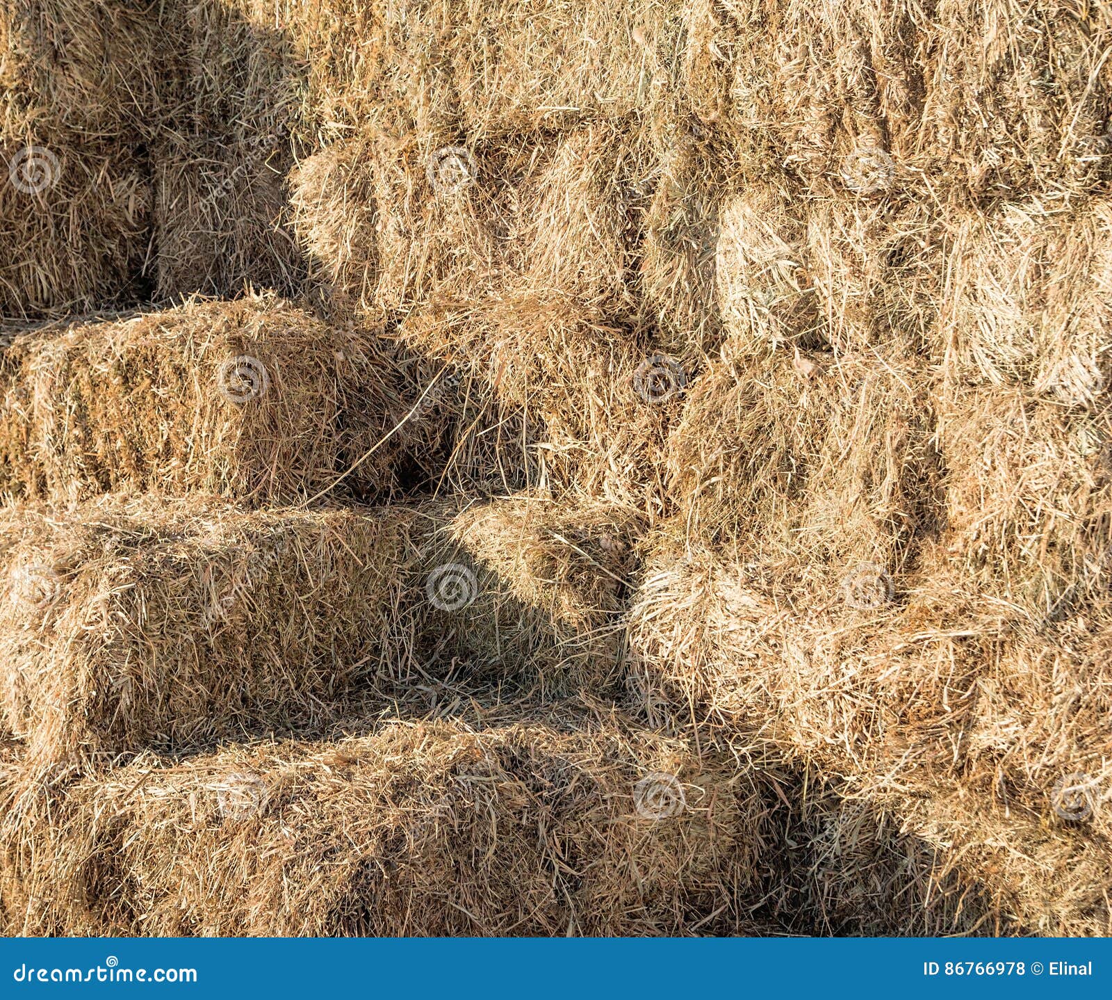 Stack Hay Bales. Texture Dry Hay Harvest Stock Photo - Image of wheat ...