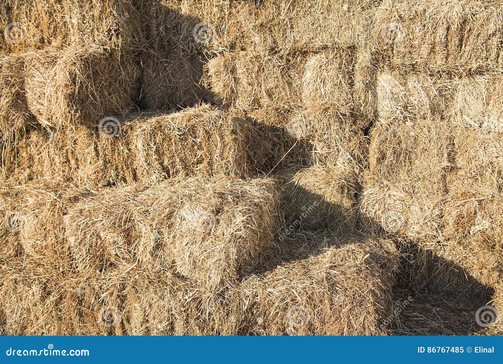 Stack Hay Bales. Texture Dry Hay Harvest Stock Image - Image of farm ...