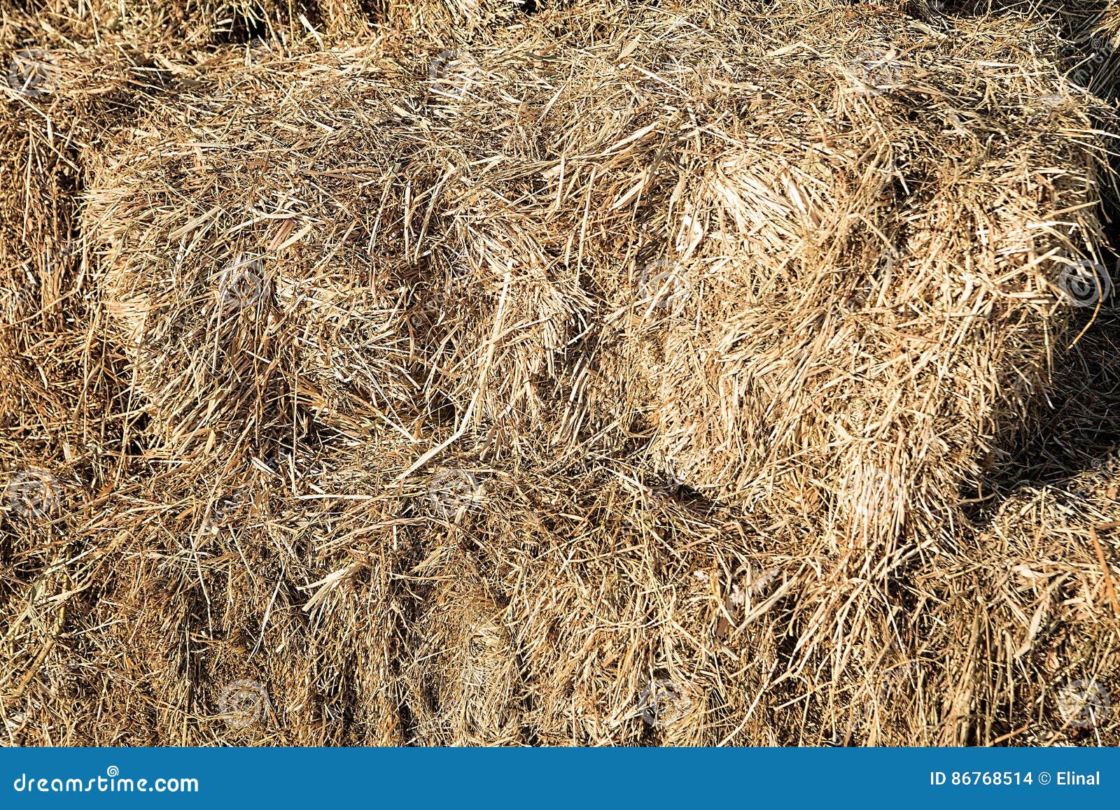Stack Hay Bales. Texture Dry Hay Harvest Stock Photo - Image of straw ...