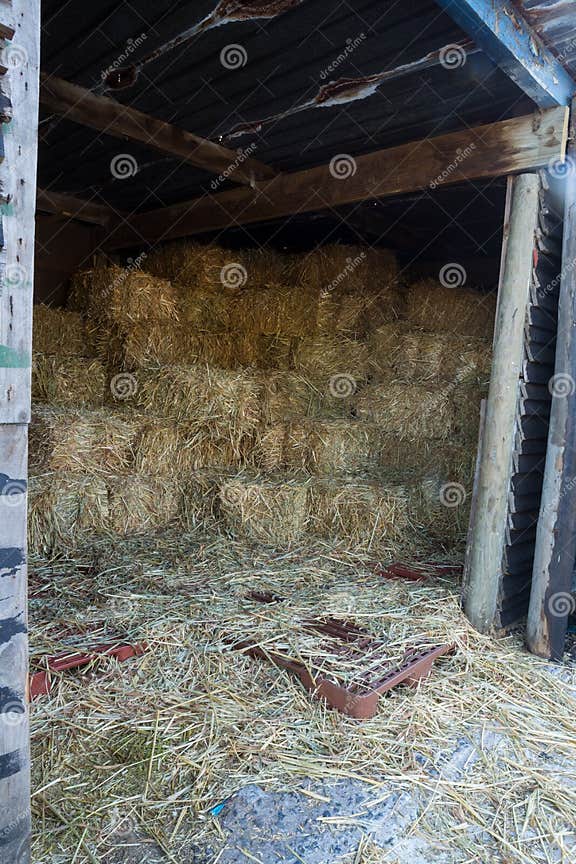Stack of hay in barn stock image. Image of outdoors, absence - 97394907