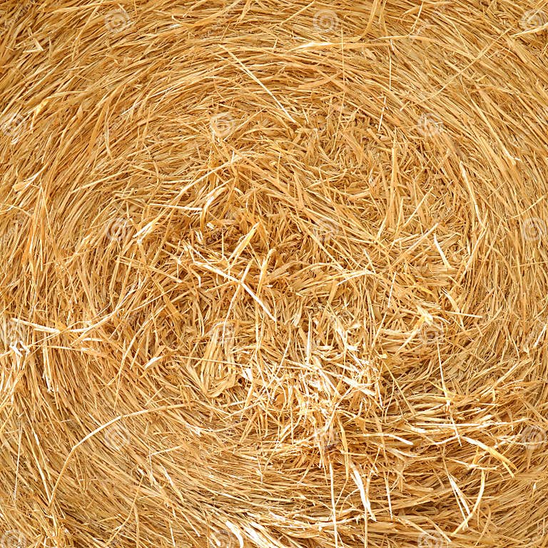 Stack of hay stock image. Image of detail, wheat, field - 32042383