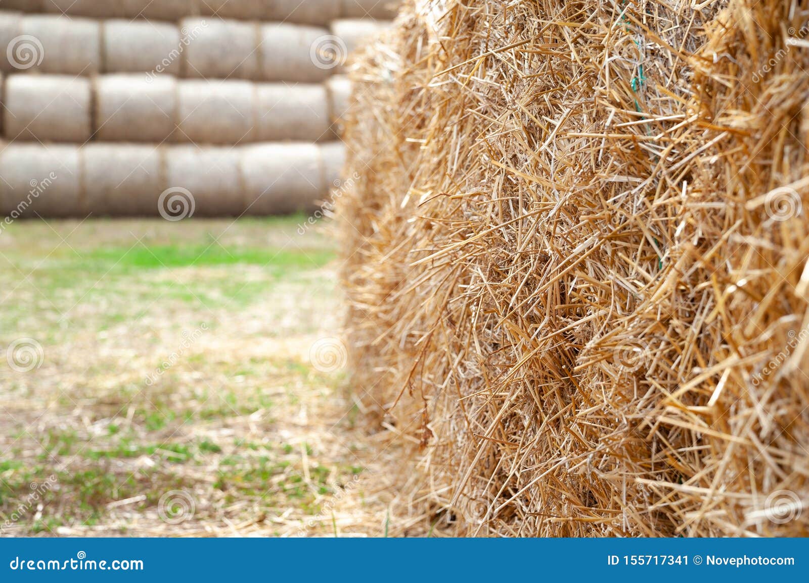 Stack Hay Closeup. Hay Bales are Stacked in Large Stacks Stock Image ...