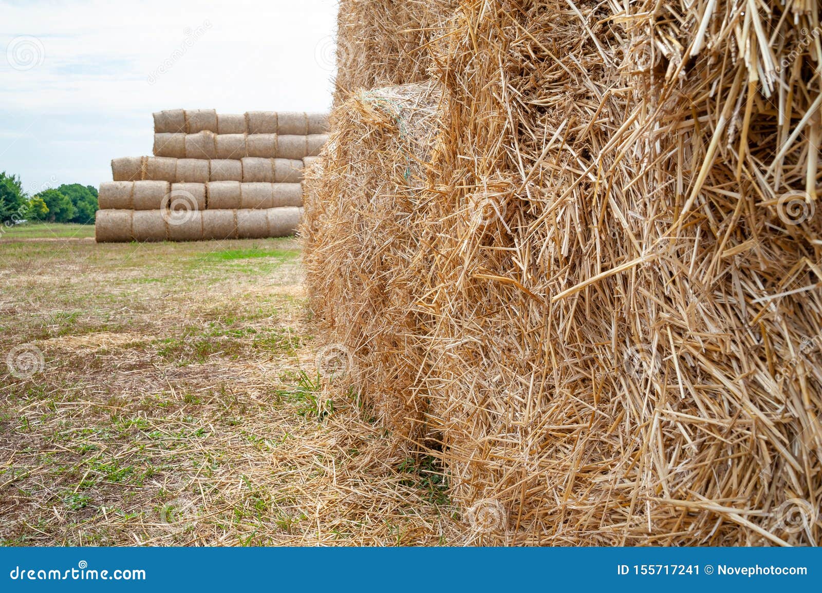 Stack Hay Closeup. Hay Bales are Stacked in Stacks Stock Image - Image ...