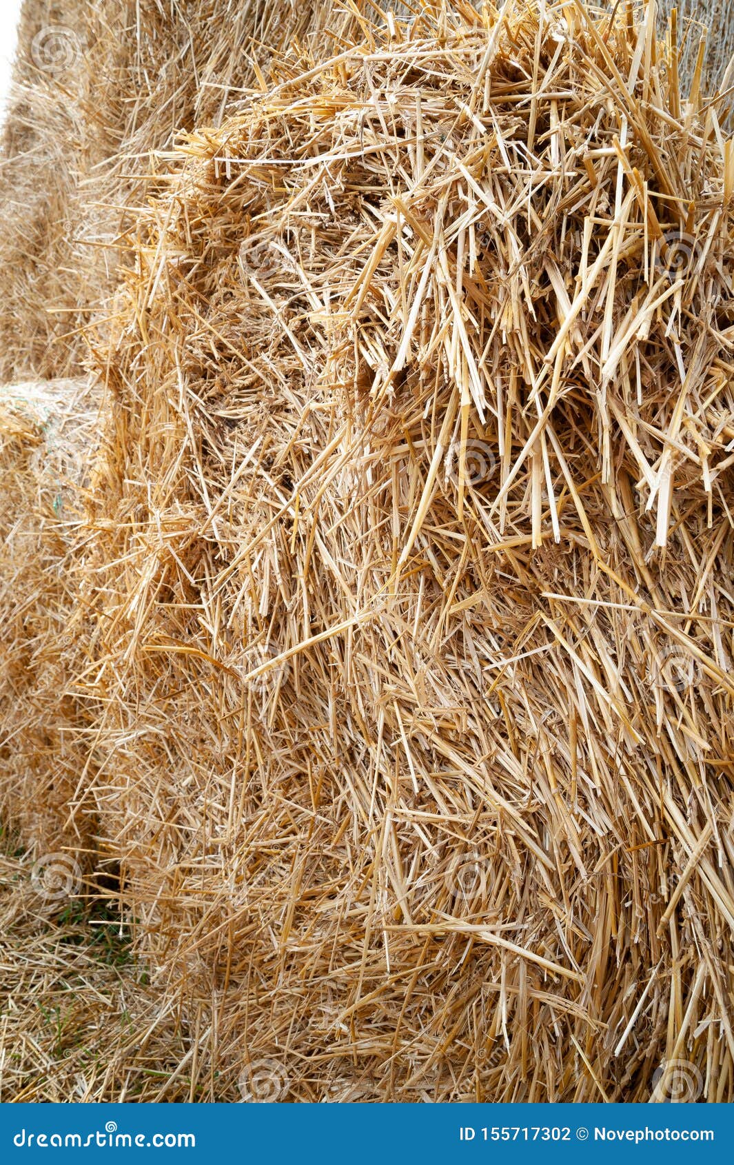 Stack Hay Closeup. the Texture of Hay Bales is Stacked in Large Stacks ...