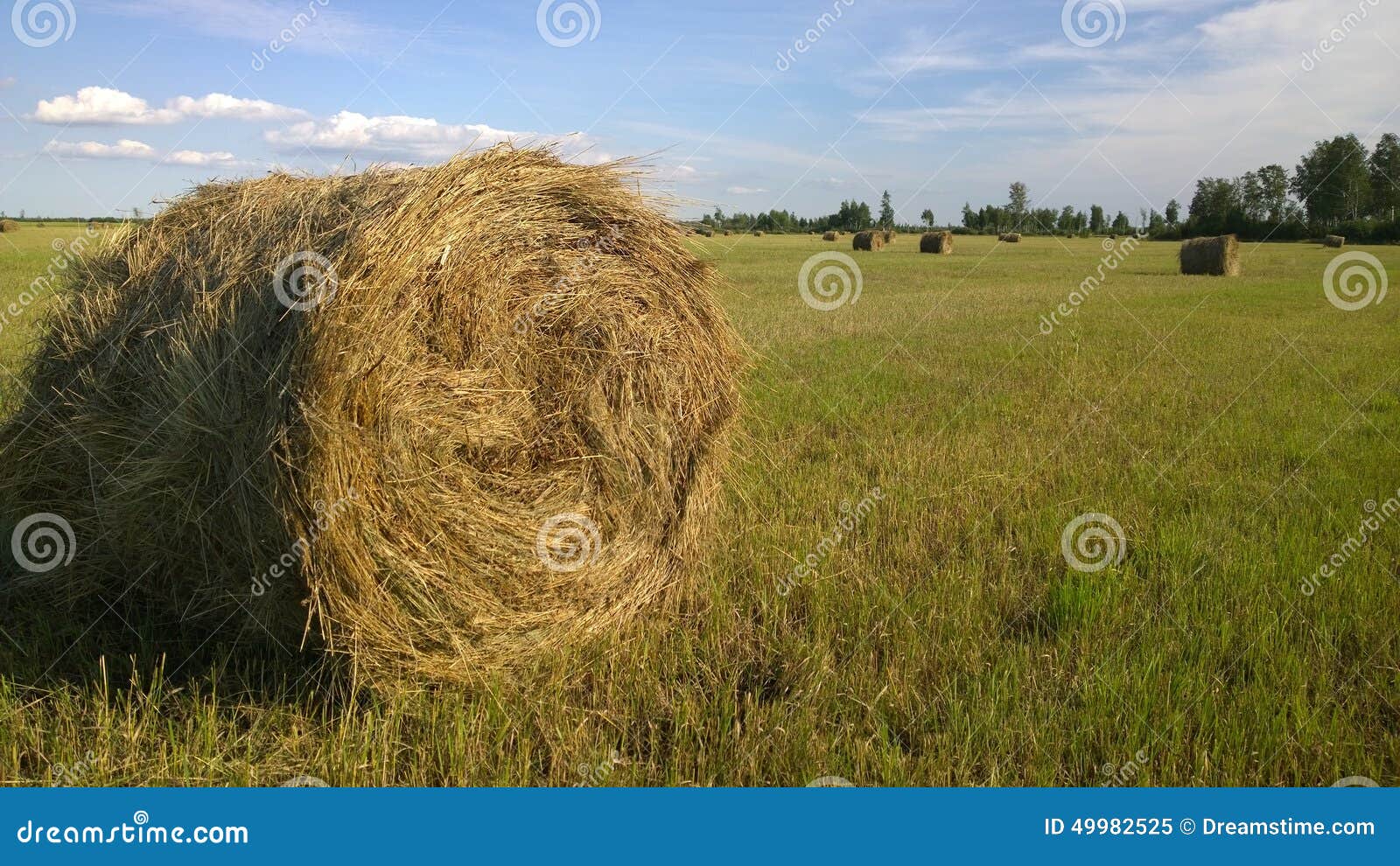 Stack of hay stock image. Image of foreground, majestic - 49982525
