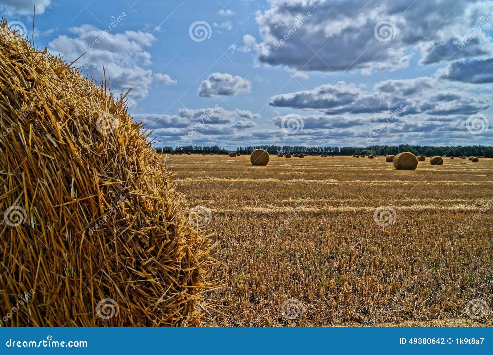 Stack of hay stock photo. Image of meadown, making, haying - 49380642