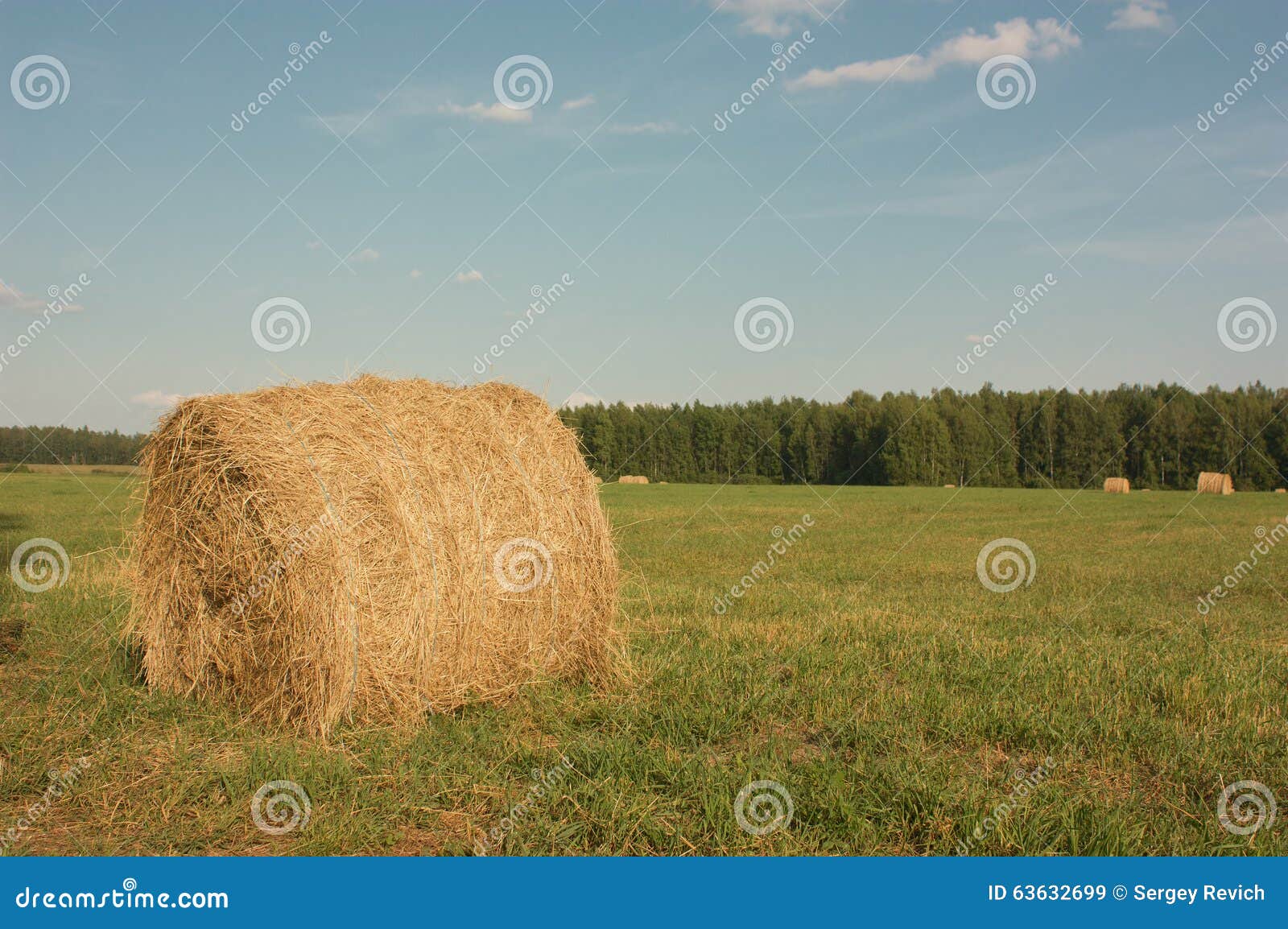 Stack of hay stock image. Image of roll, summer, rural - 63632699