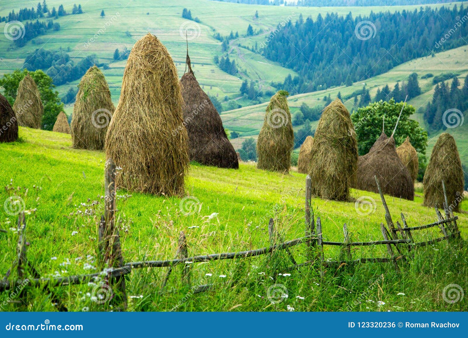 Stack of Hay on a Mountain Meadow on a Hillside. Stock Photo - Image of ...