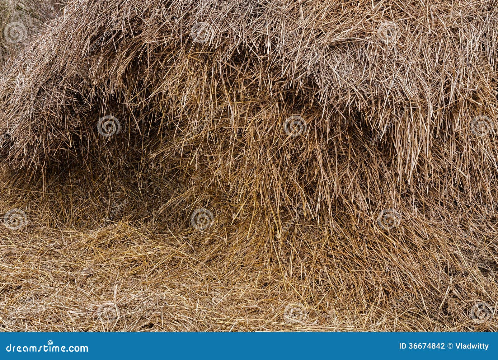 Stack hay straw stock photo. Image of agriculture, bale - 36674842